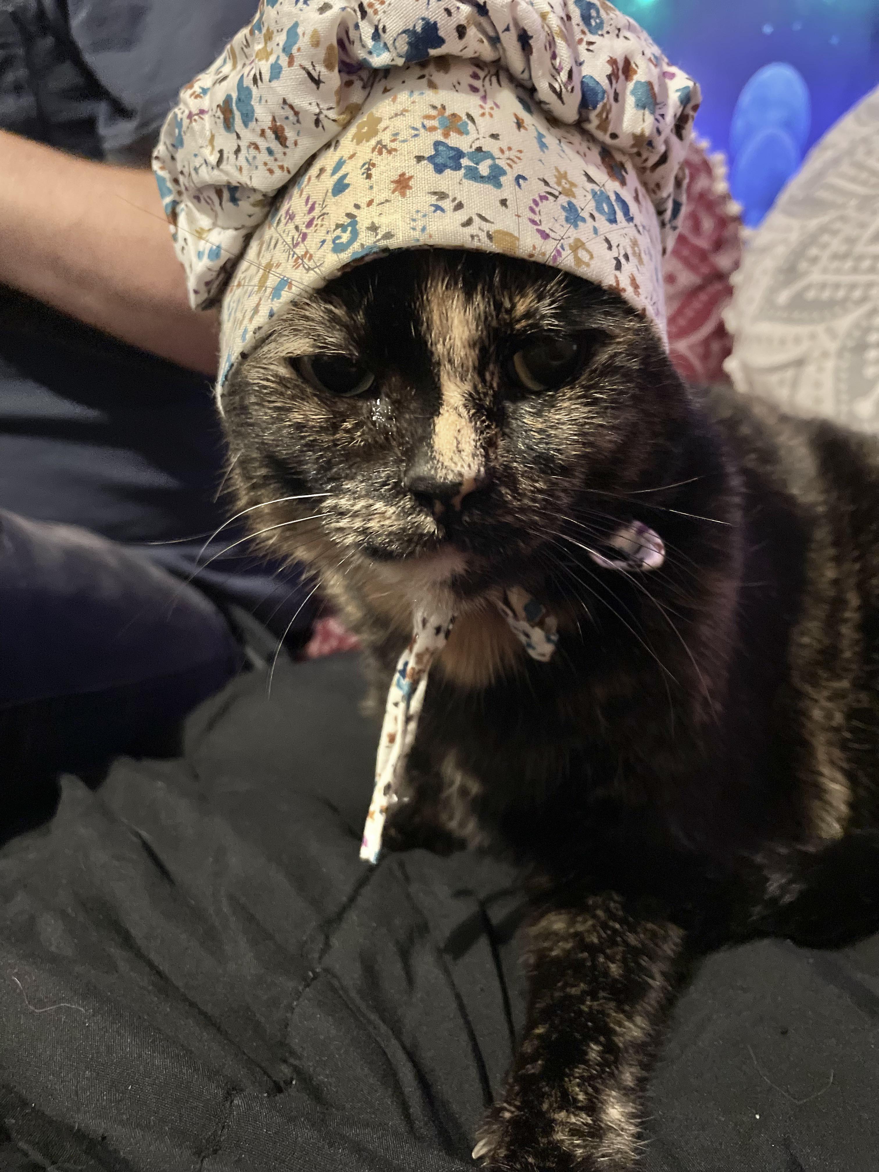 Displeased with the hat | Scrolller