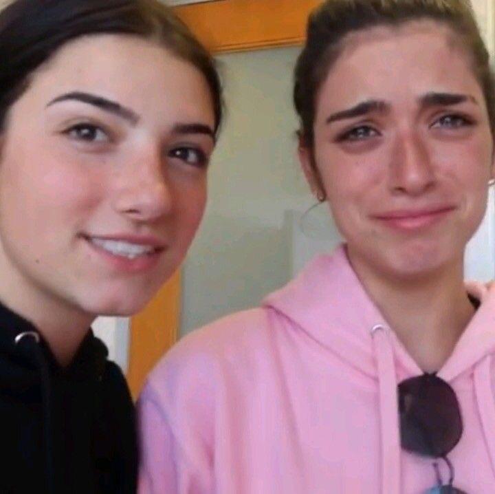 Dixie crying aww | Scrolller