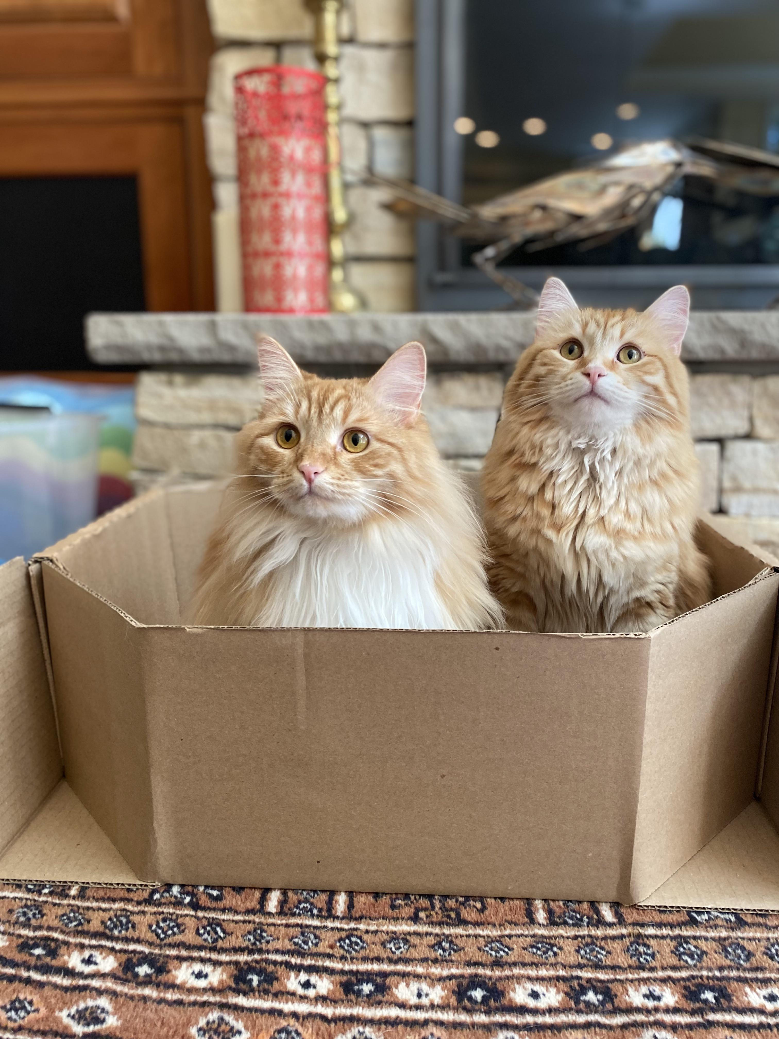 Do these girls belong here? | Scrolller