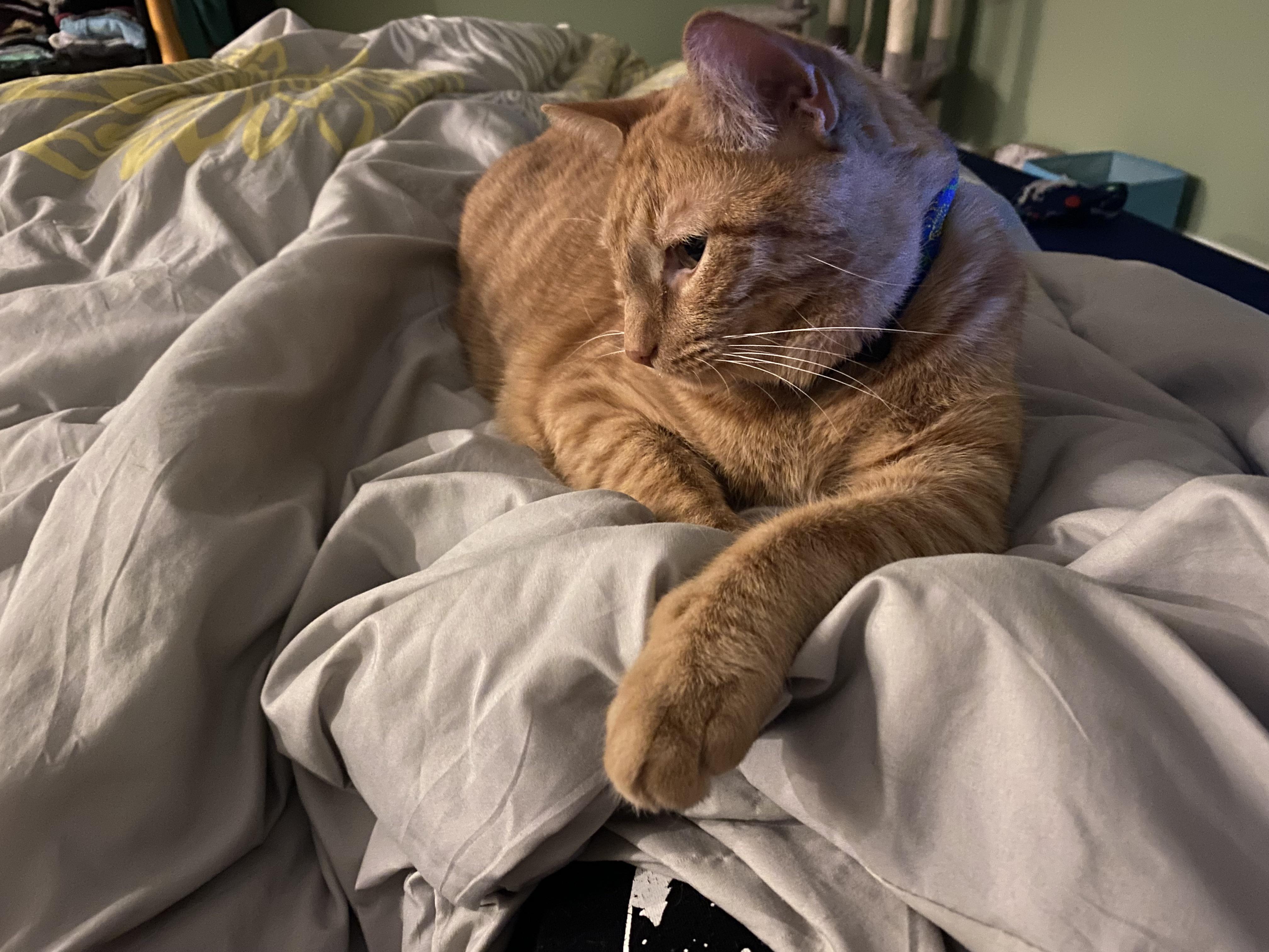 Does anyone else just feel so beyond blessed to have their derpy brain cell? | Scrolller