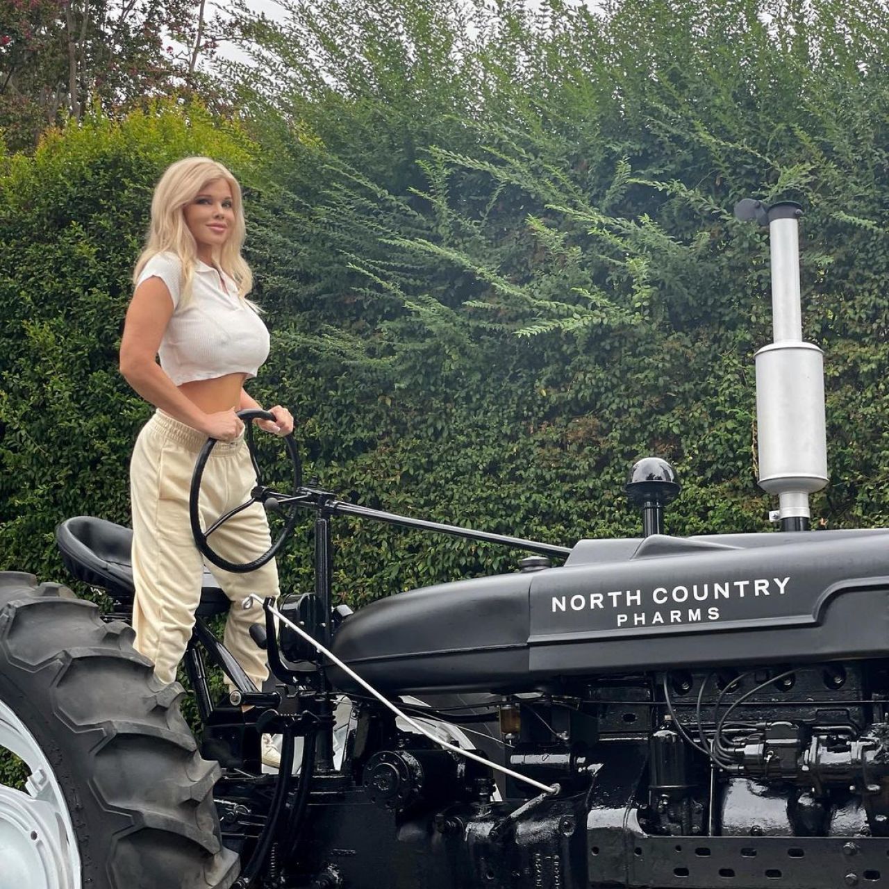 Donna from Baywatch | Scrolller