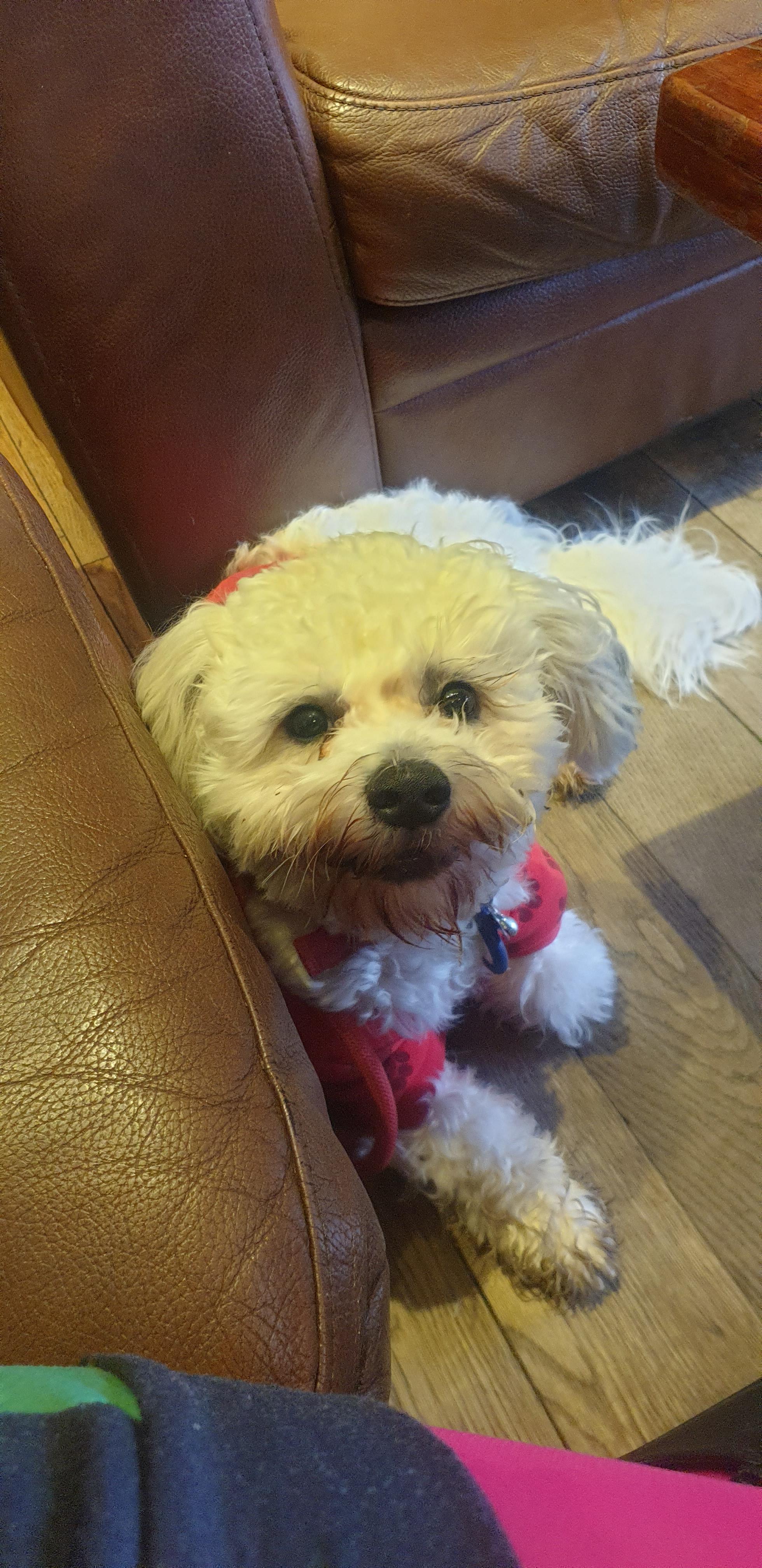 Don't be suspicious... | Scrolller