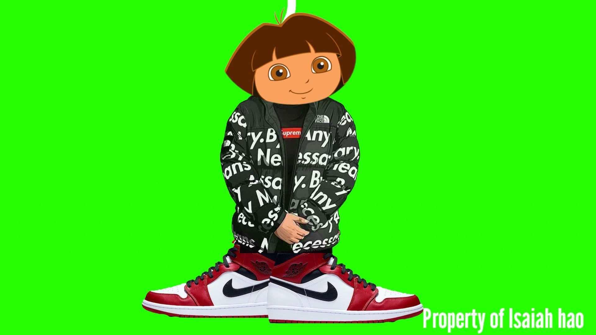 dora the explorer | Scrolller