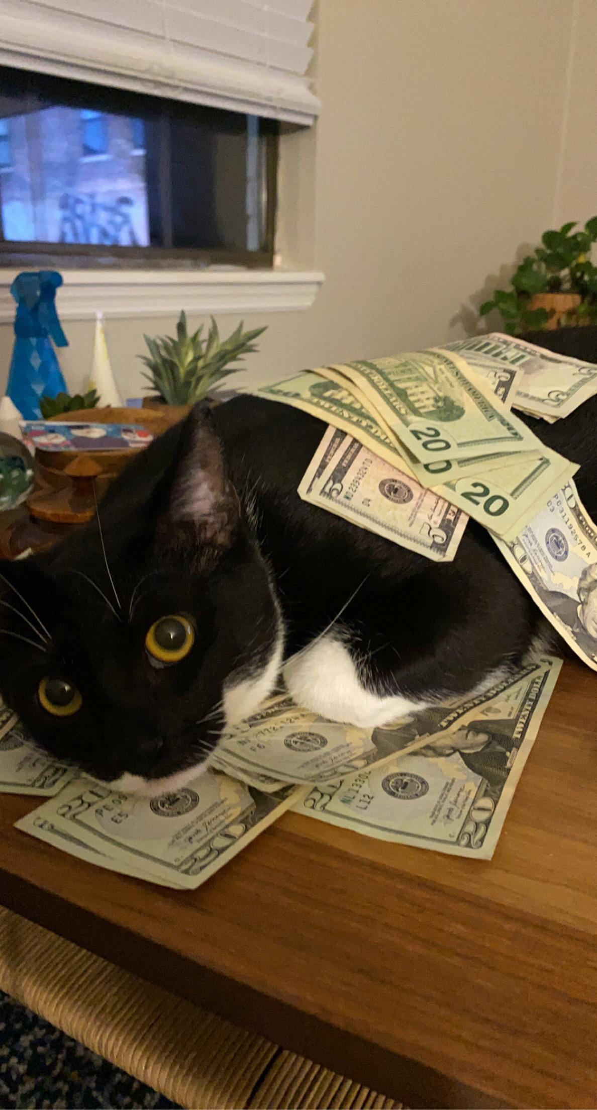 Drip too hard | Scrolller