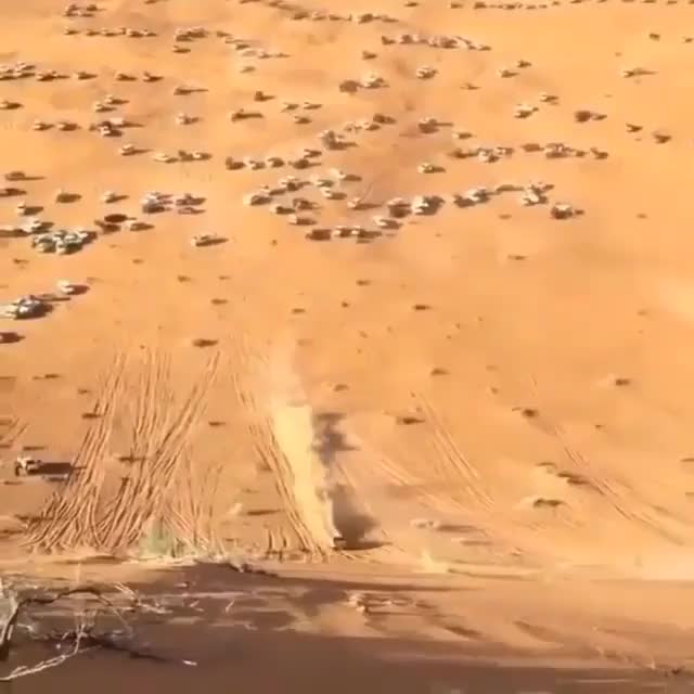Driving up a dune (X-post /r/oddlysatisfying) | Scrolller