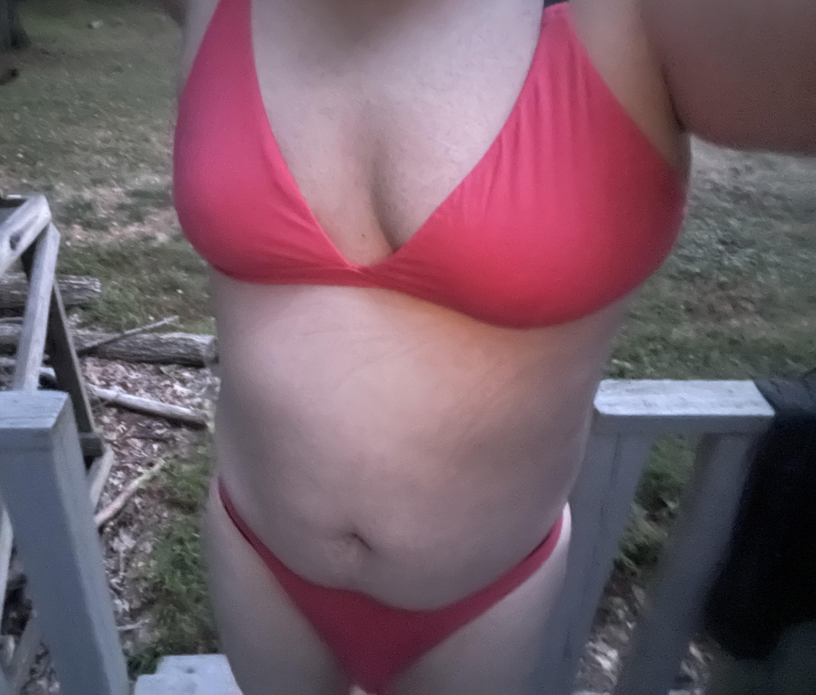 Early morning back yard | Scrolller