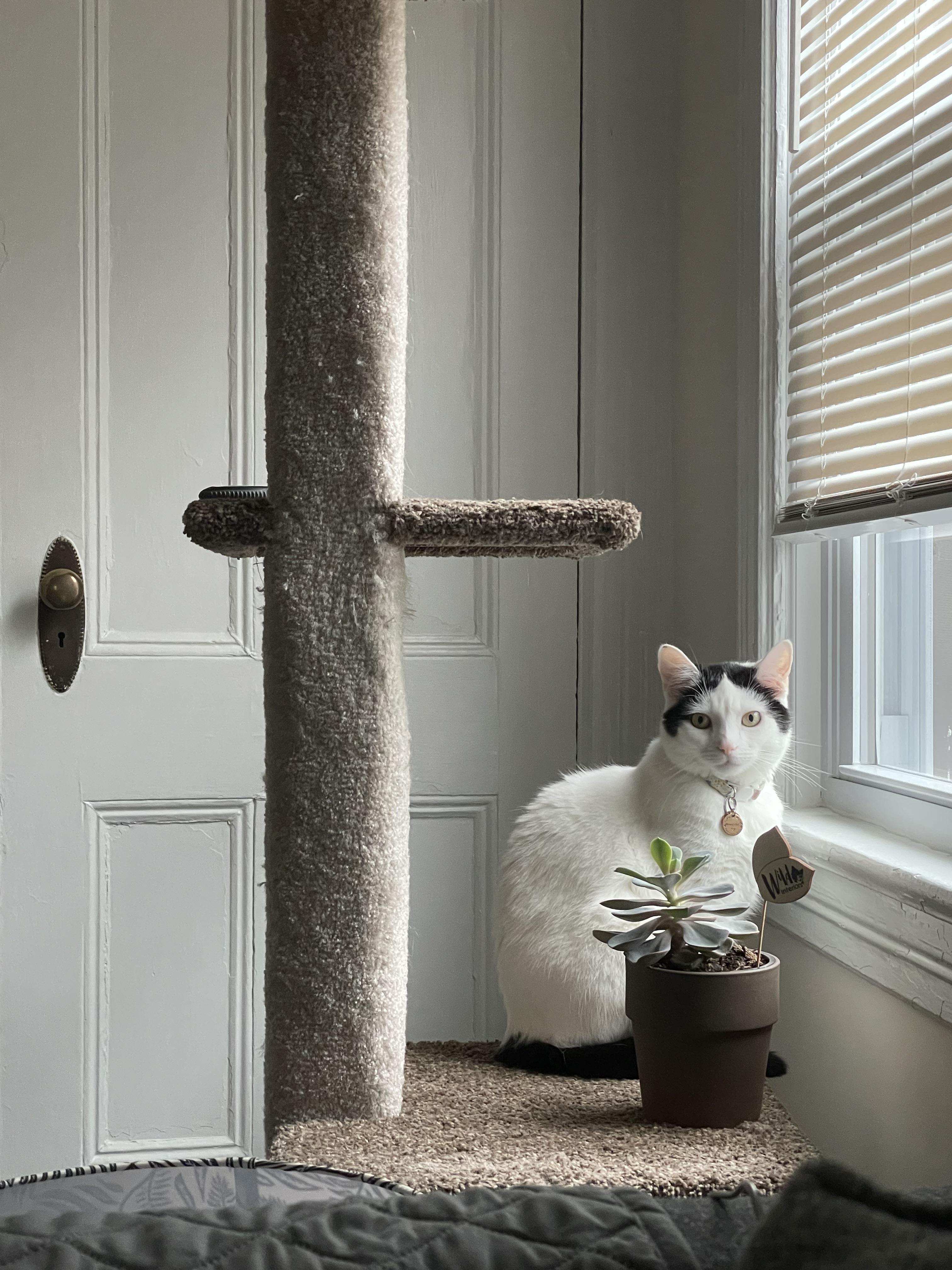 Early mornings with my babe | Scrolller