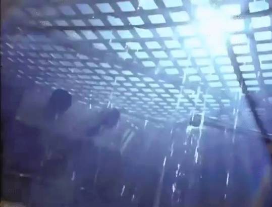 Early Pam - 1991 | Scrolller