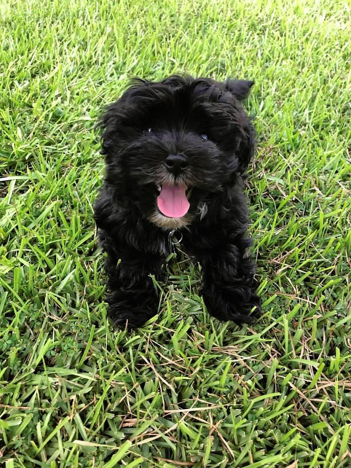 Enjoying the beautiful weather and green grass | Scrolller