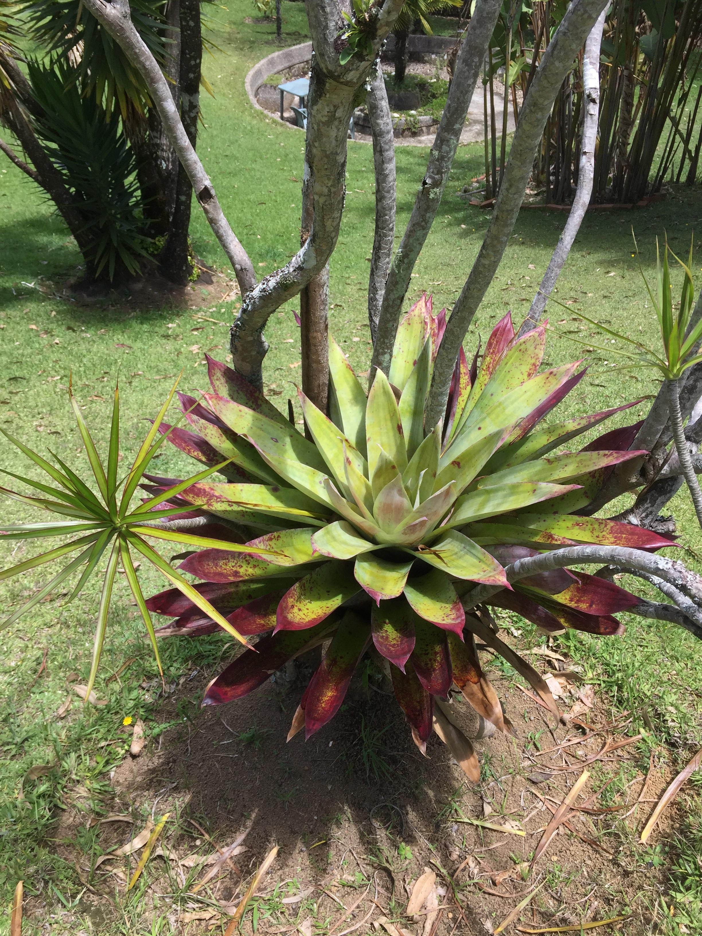 Enjoying the sun. | Scrolller