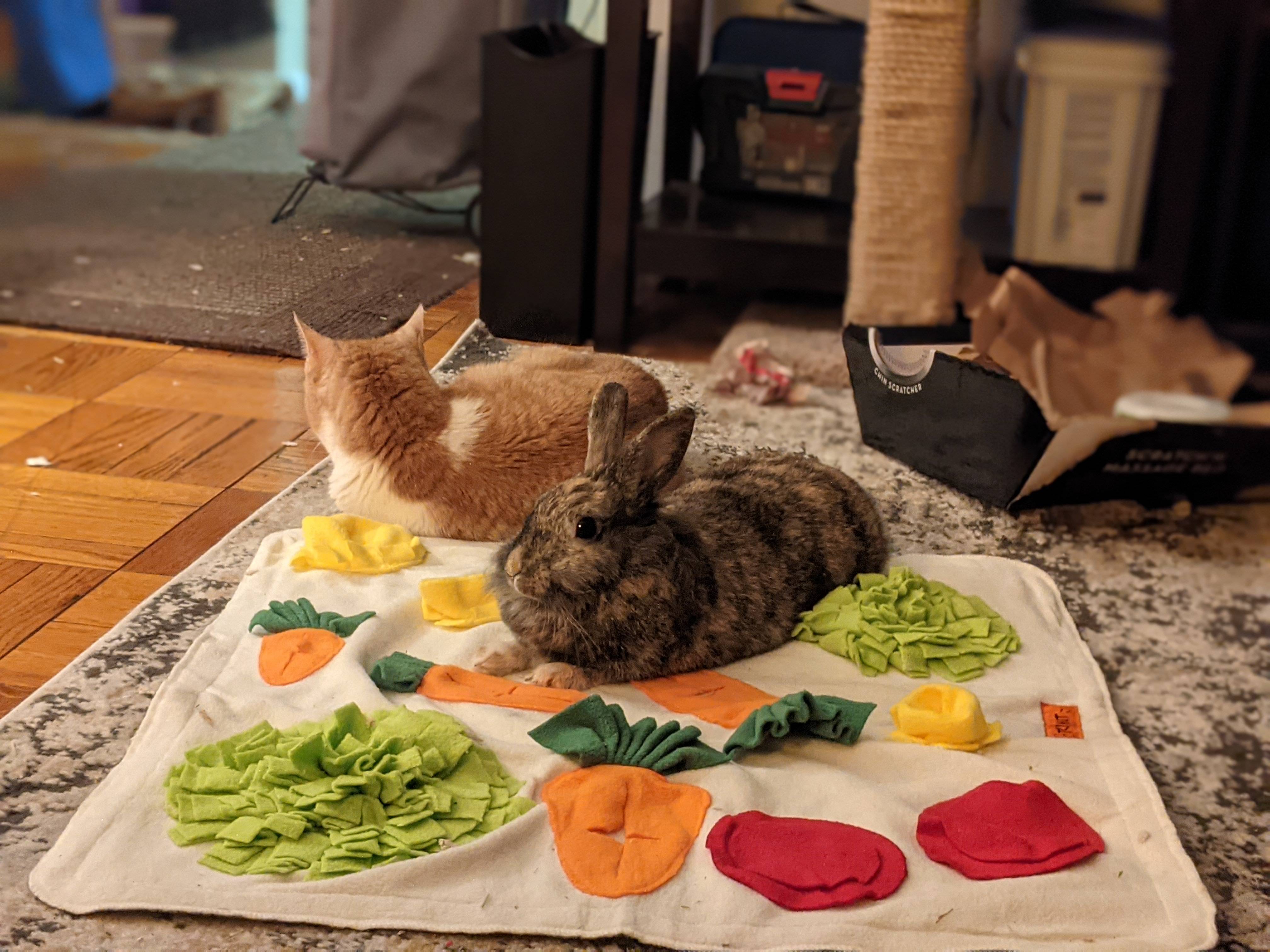 Ever closer... | Scrolller