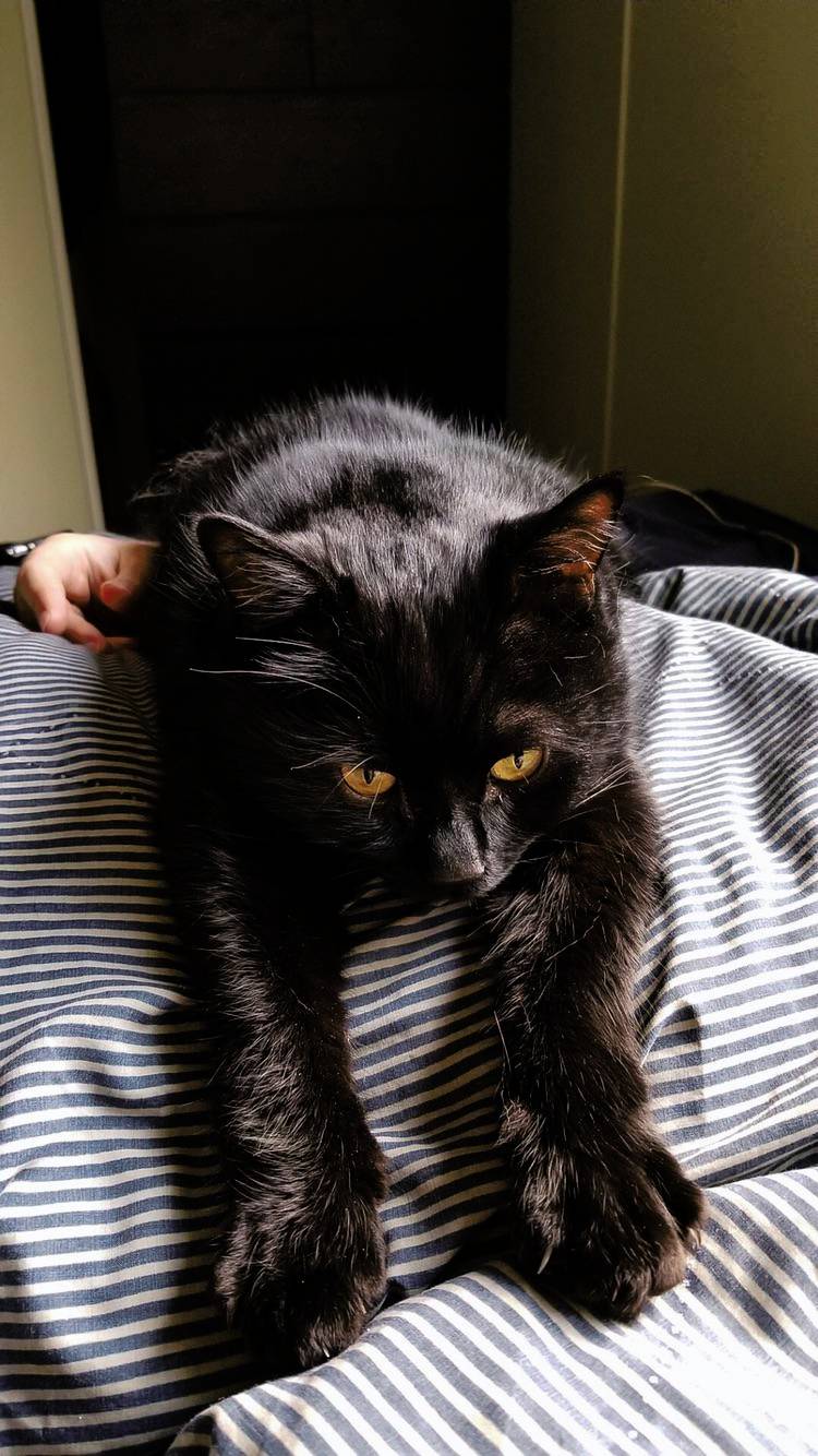 Every morning I get this straightened flop | Scrolller