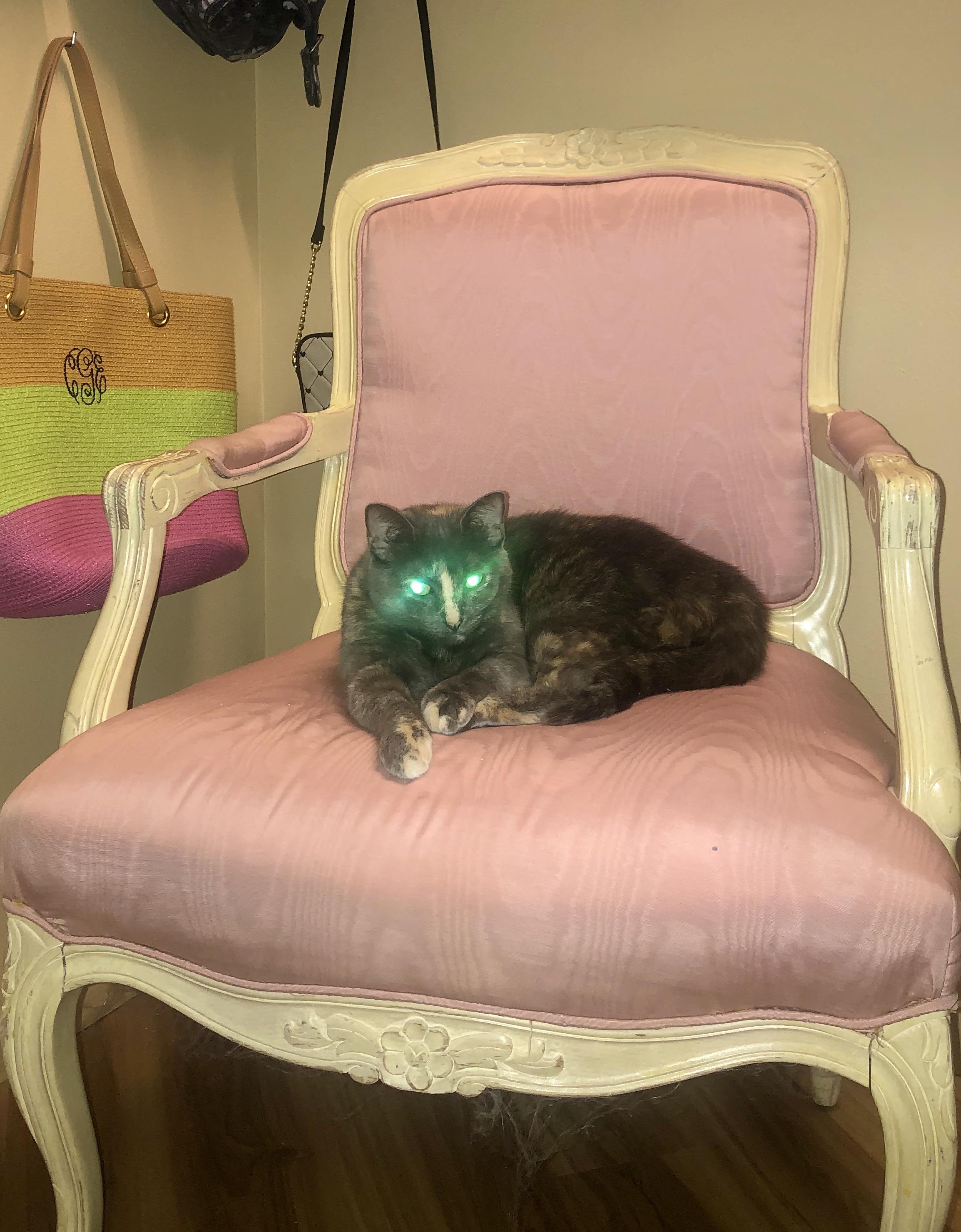 Evil Queen on her throne | Scrolller