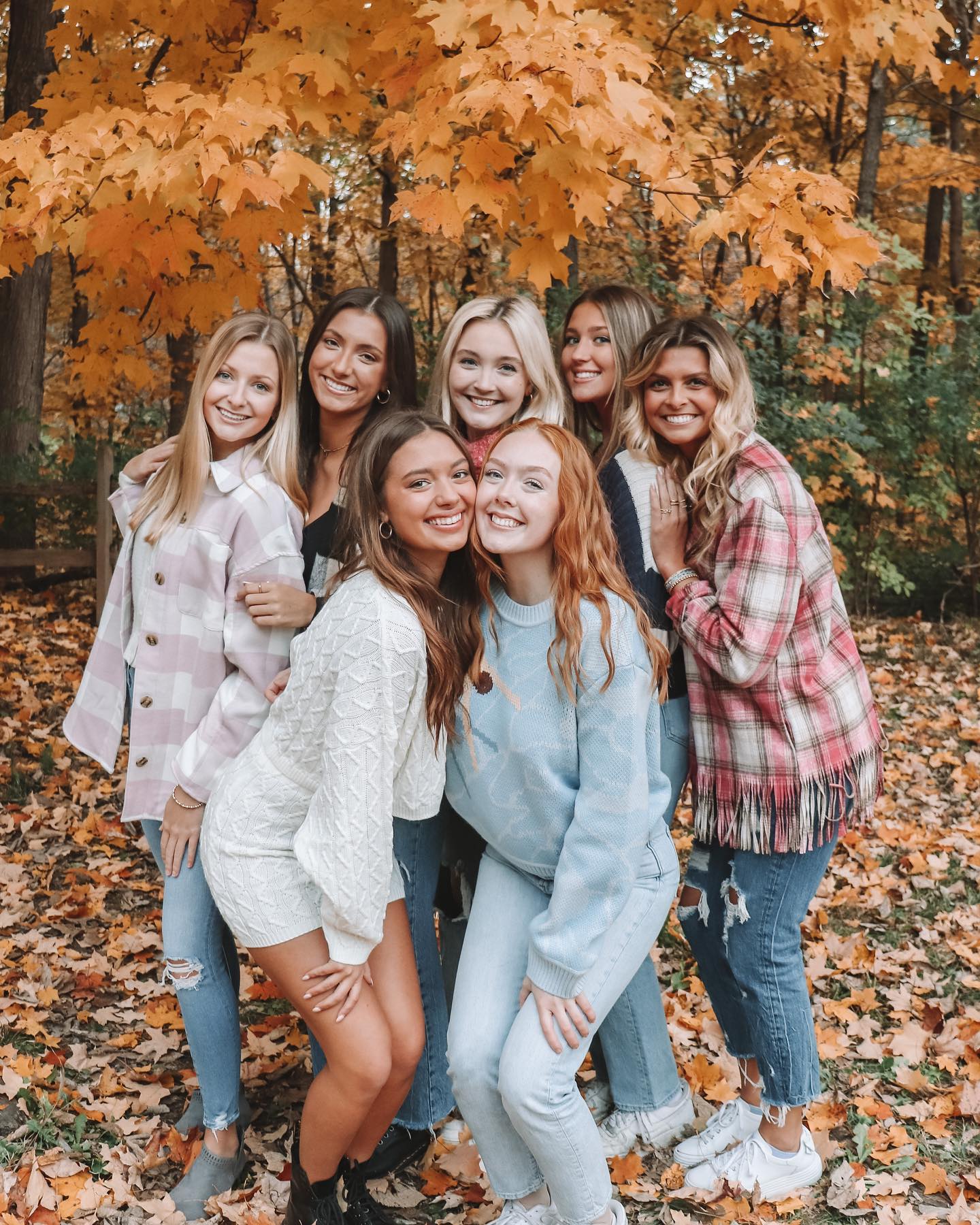 Fall Leaves | Scrolller