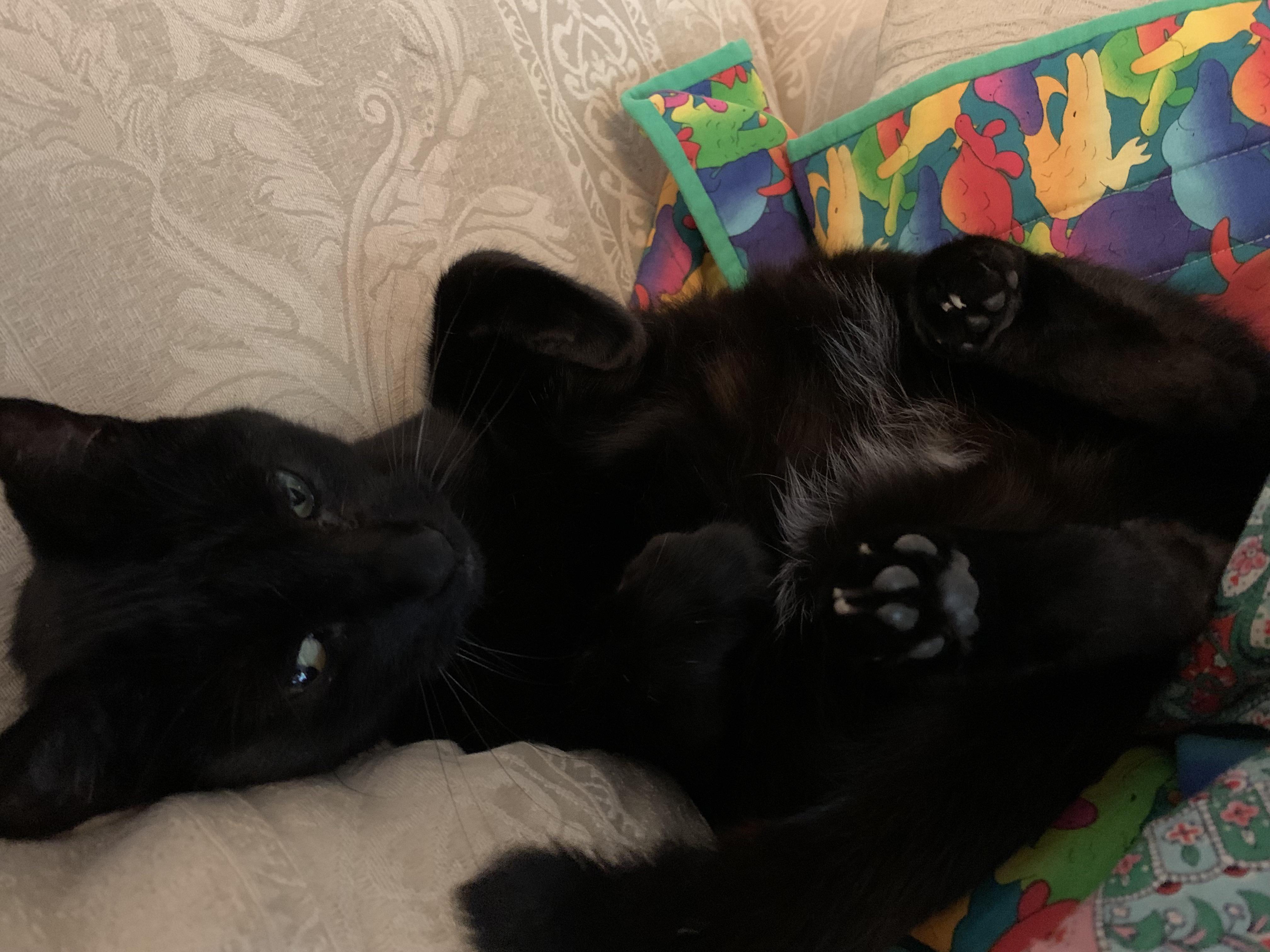 Fanta’s feetsies | Scrolller