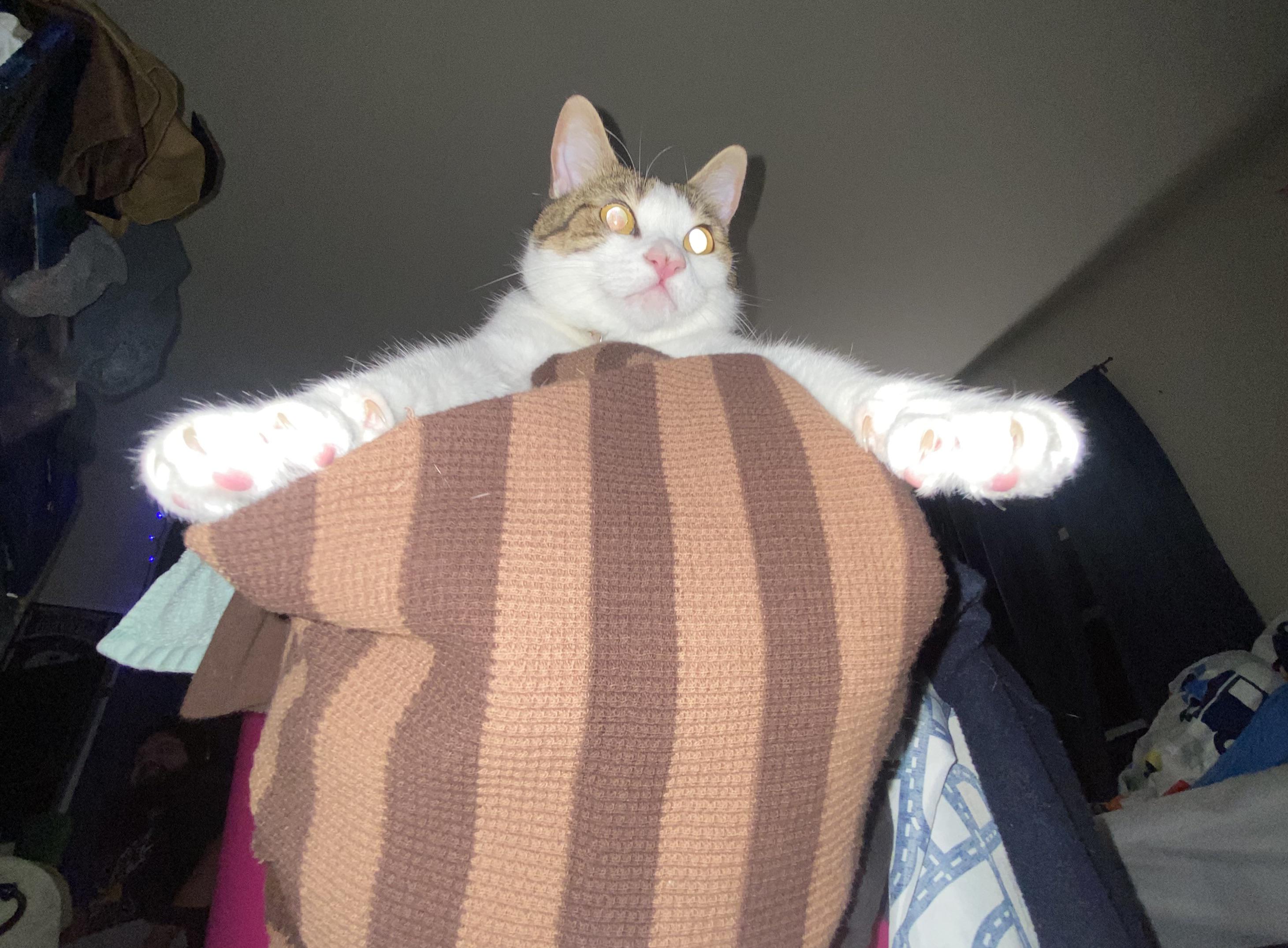 Fear her. | Scrolller