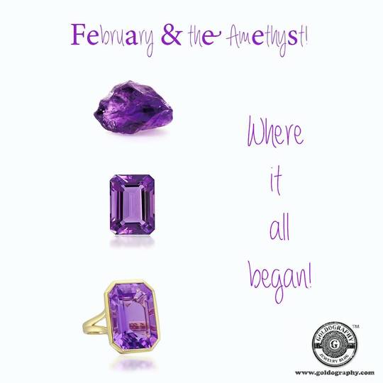 [February and the Amethyst] | Scrolller