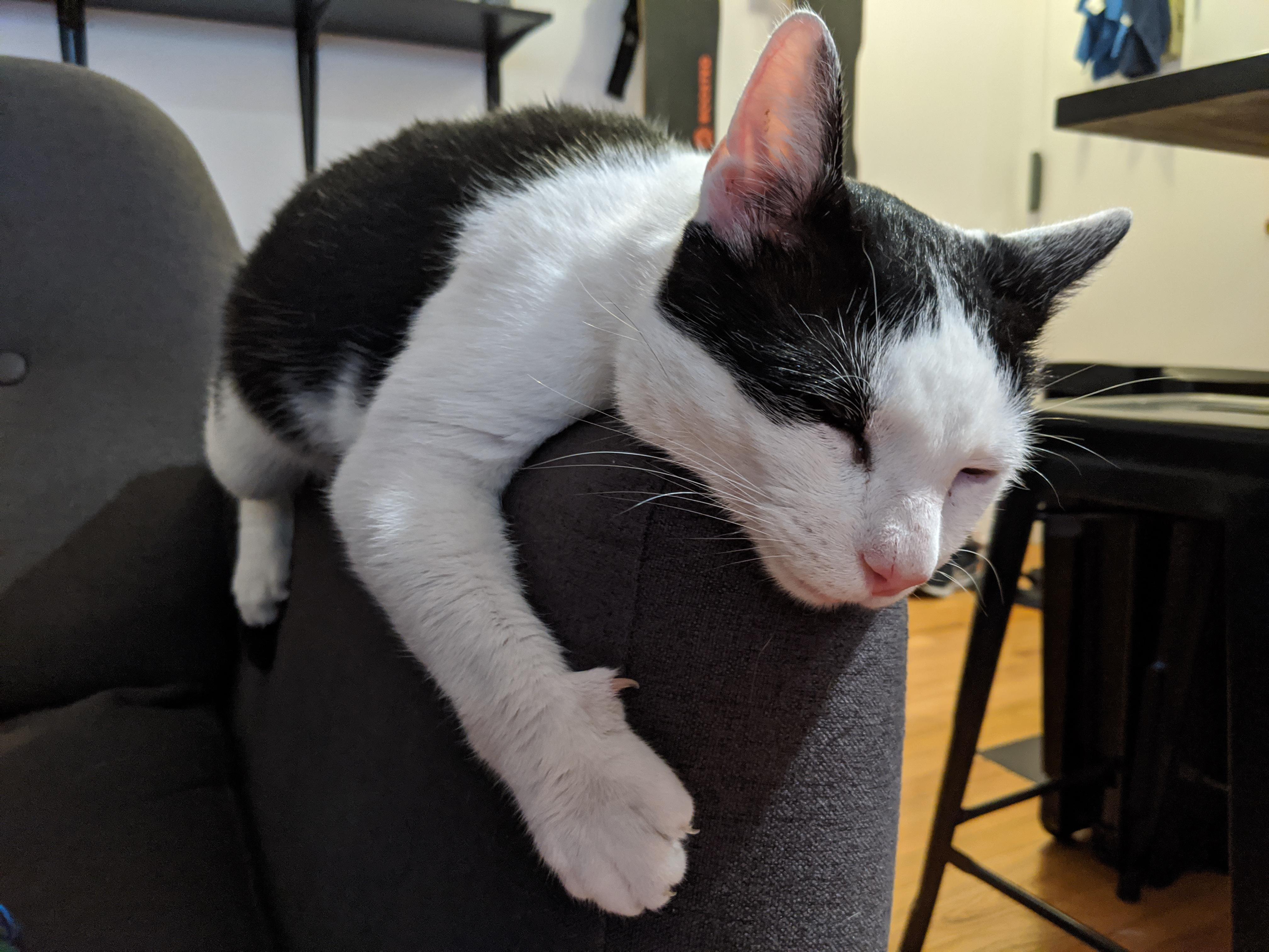 Feetsies from his first day in his new home! | Scrolller