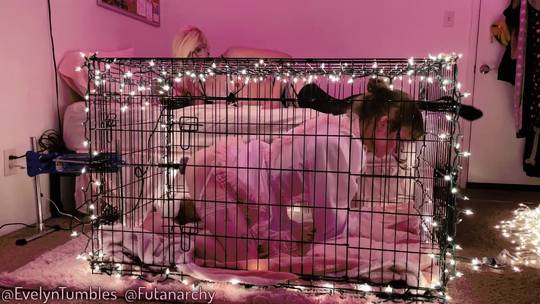 Femboy cages and trains me... | Scrolller