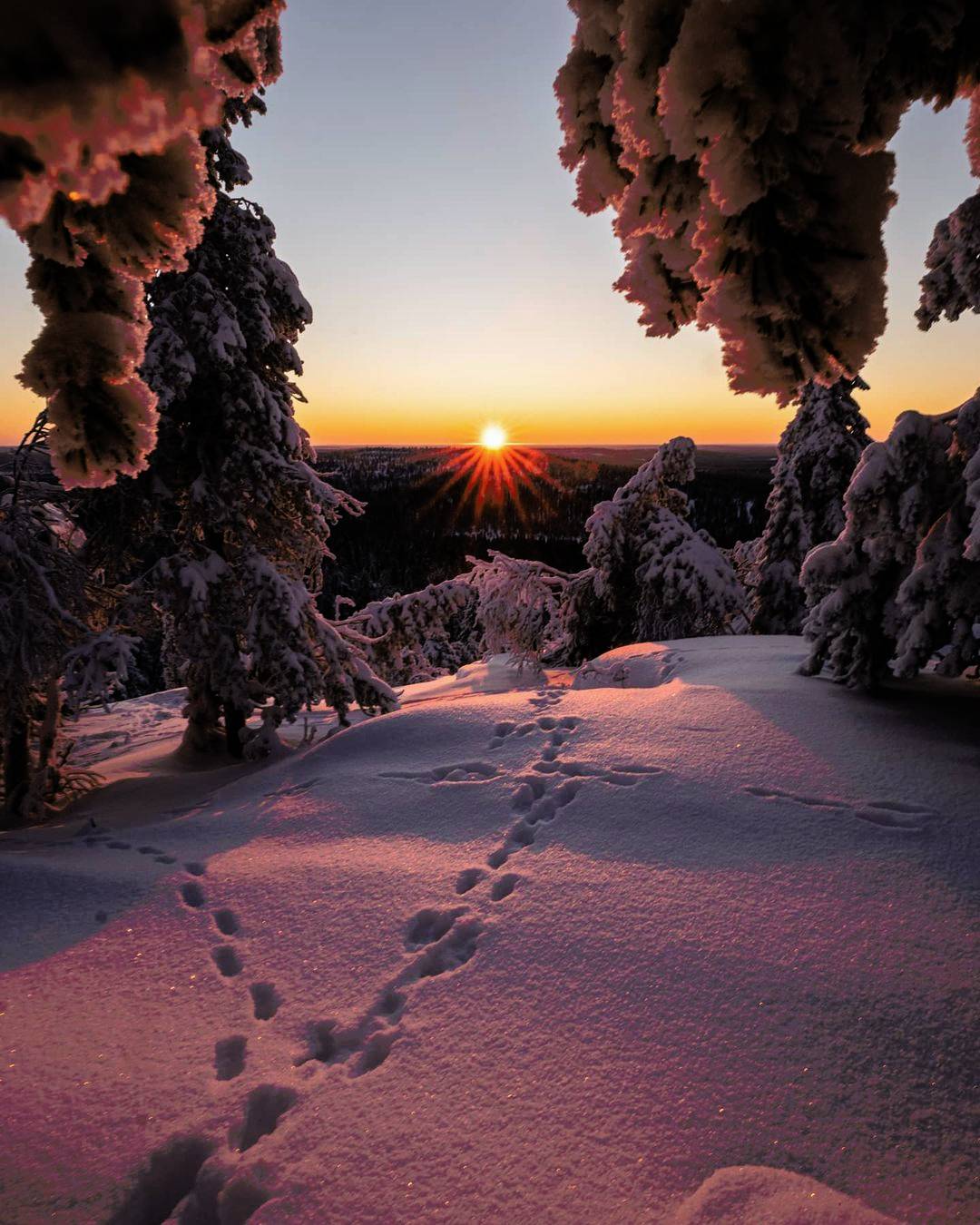 Finnish wilderness at sunset, a magical moment | Scrolller