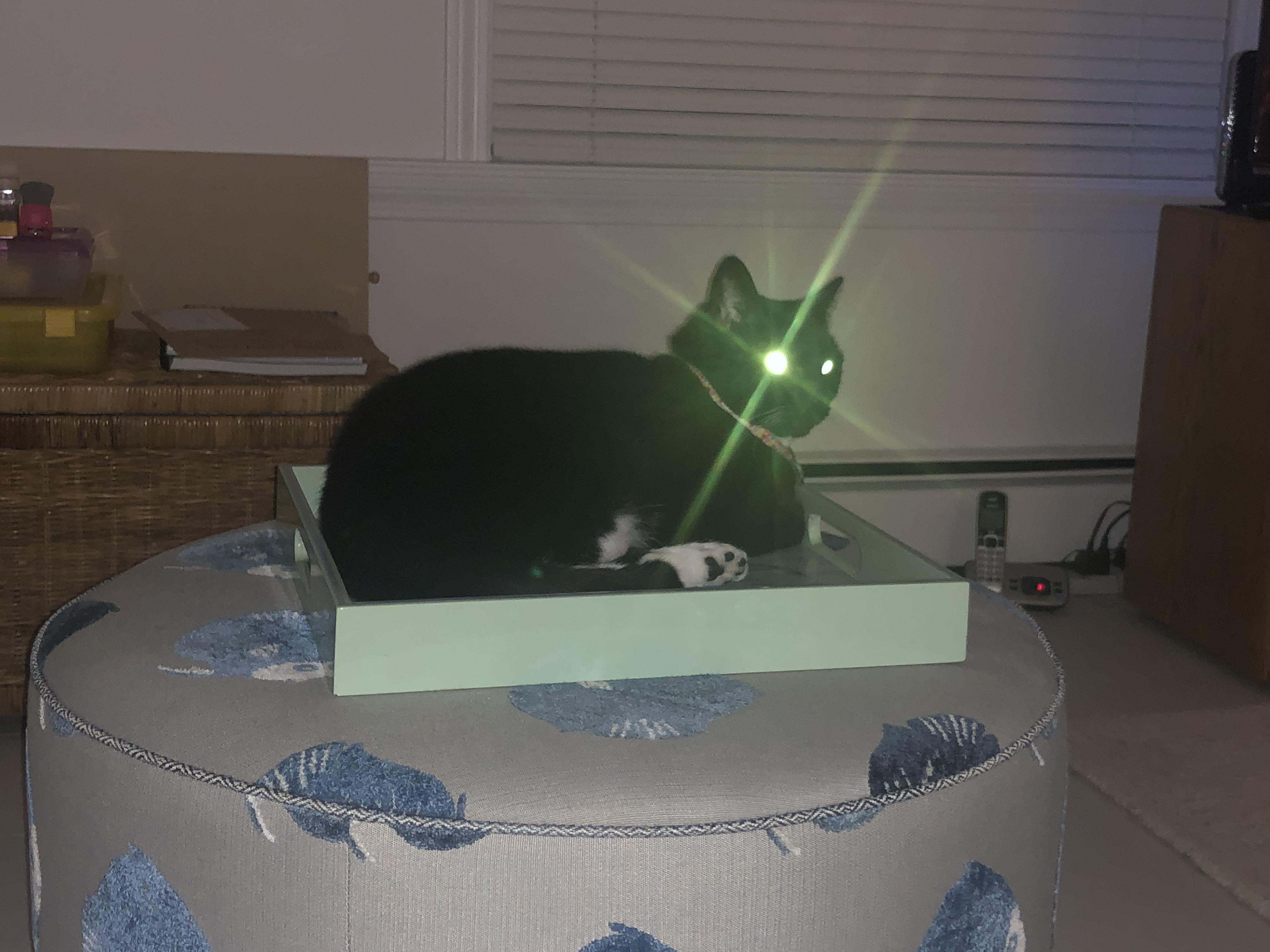 firing in 3... 2... | Scrolller