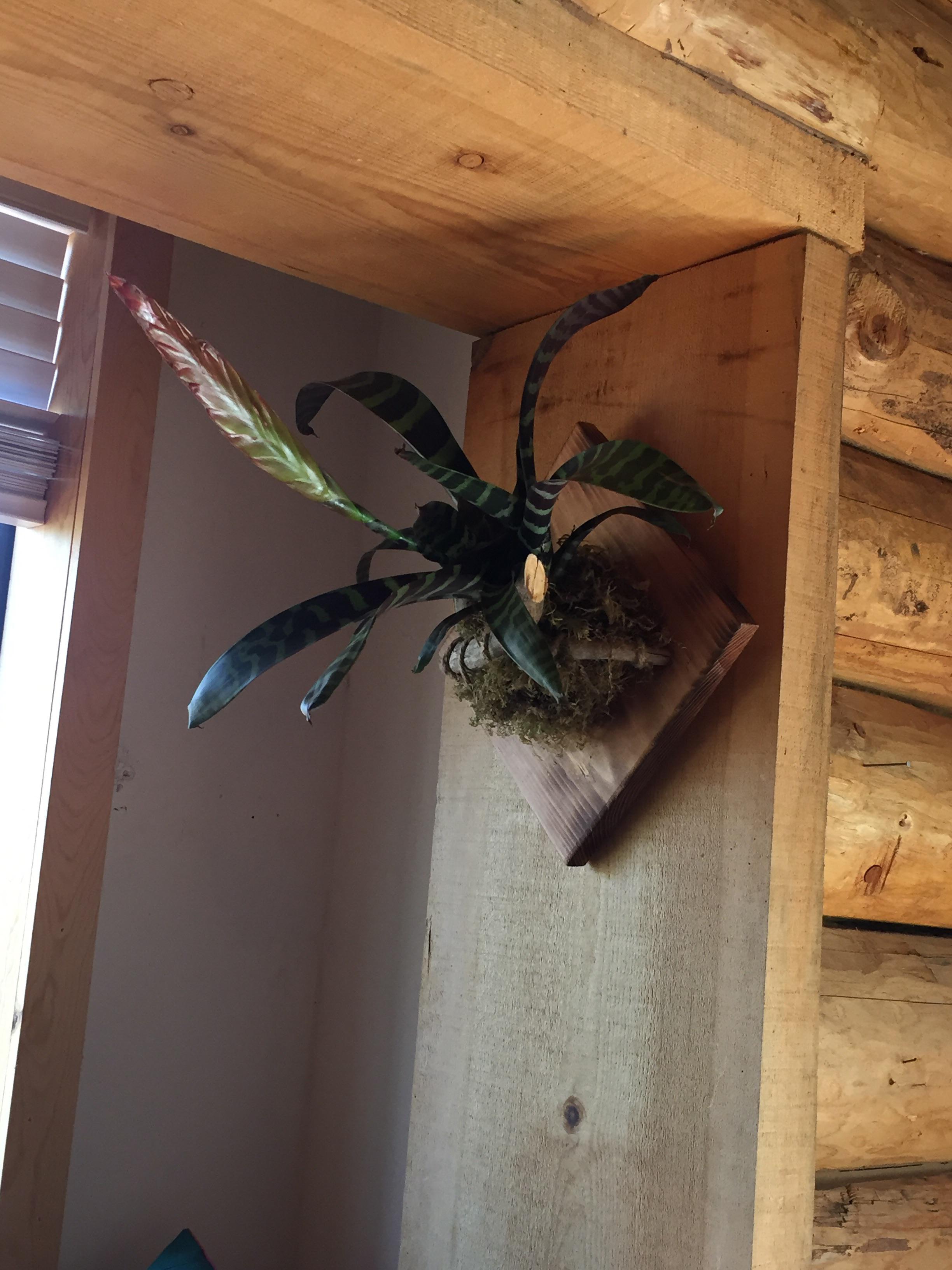 First Bro! First mount!! | Scrolller