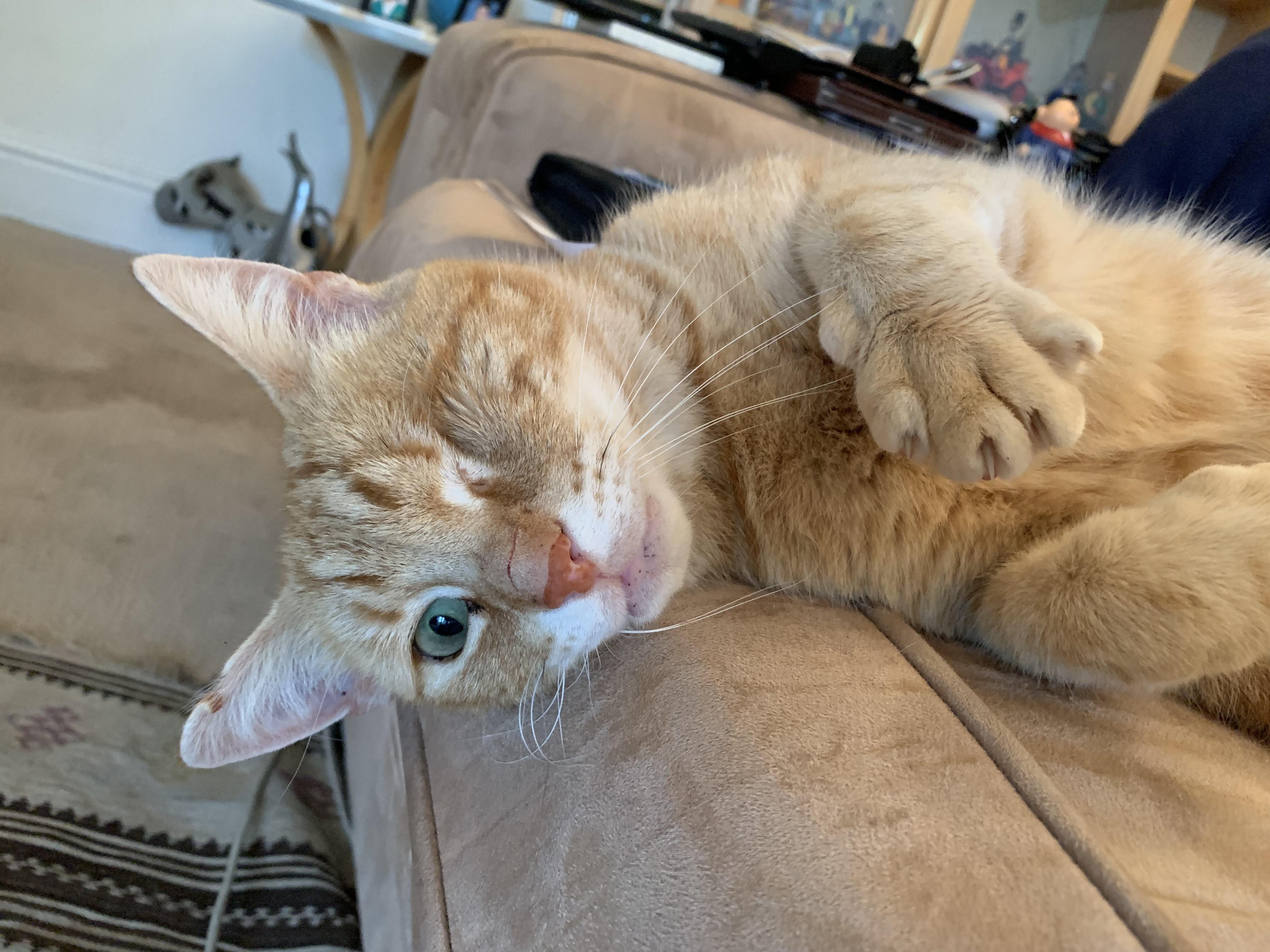 First Mate Malcolm | Scrolller