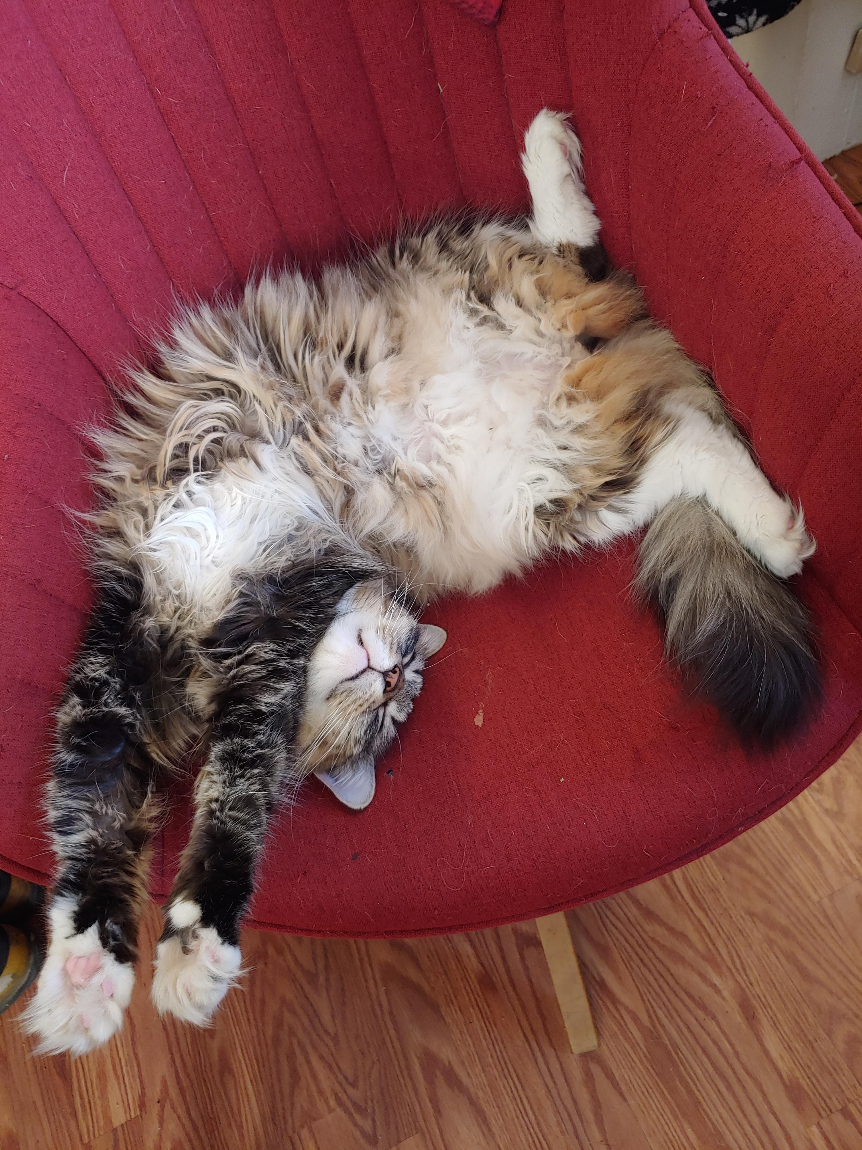 Floor Feetsies | Scrolller