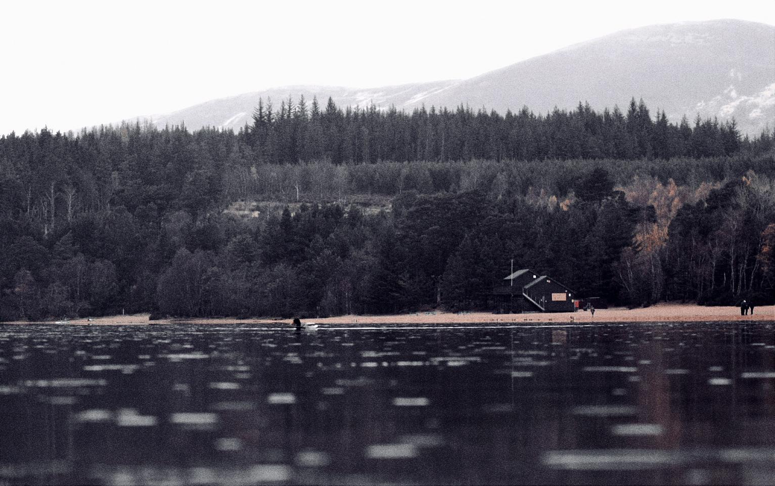 Forgotten | Scrolller