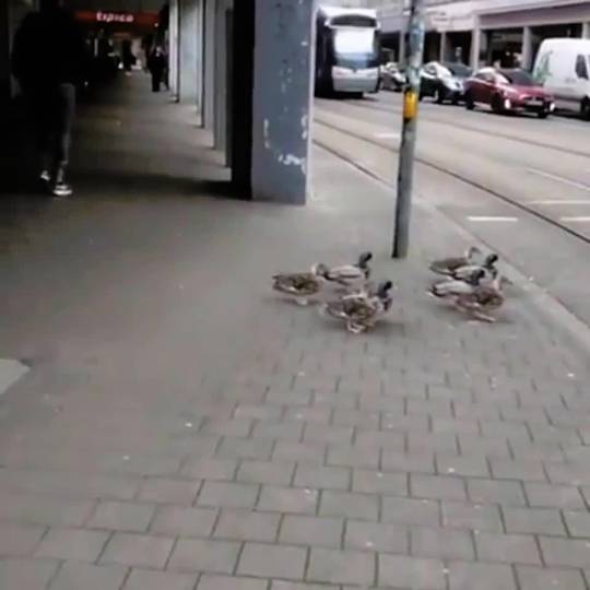 Four couples? Freaking polycule! | Scrolller