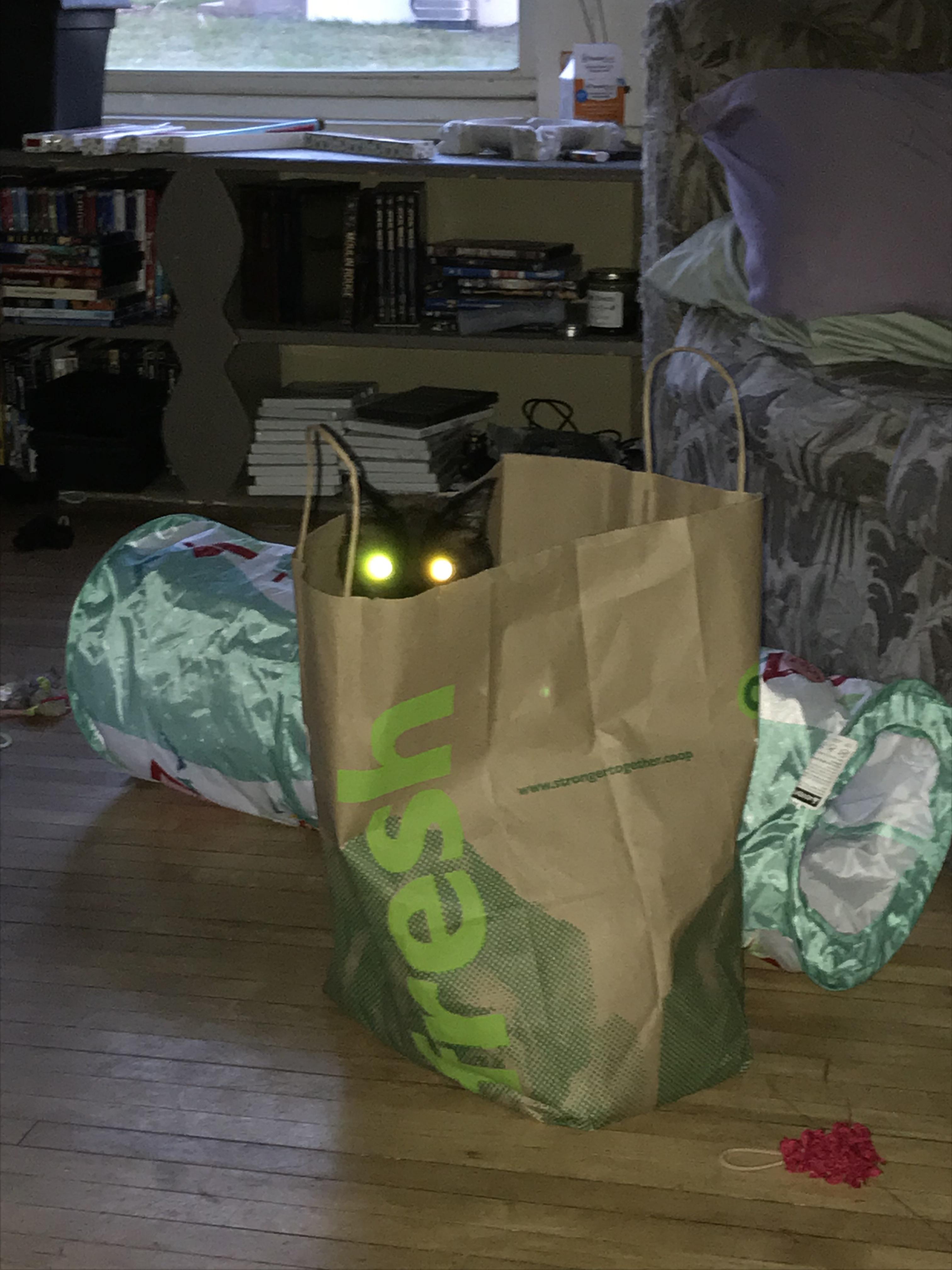 Fresh delivery, straight from hell | Scrolller