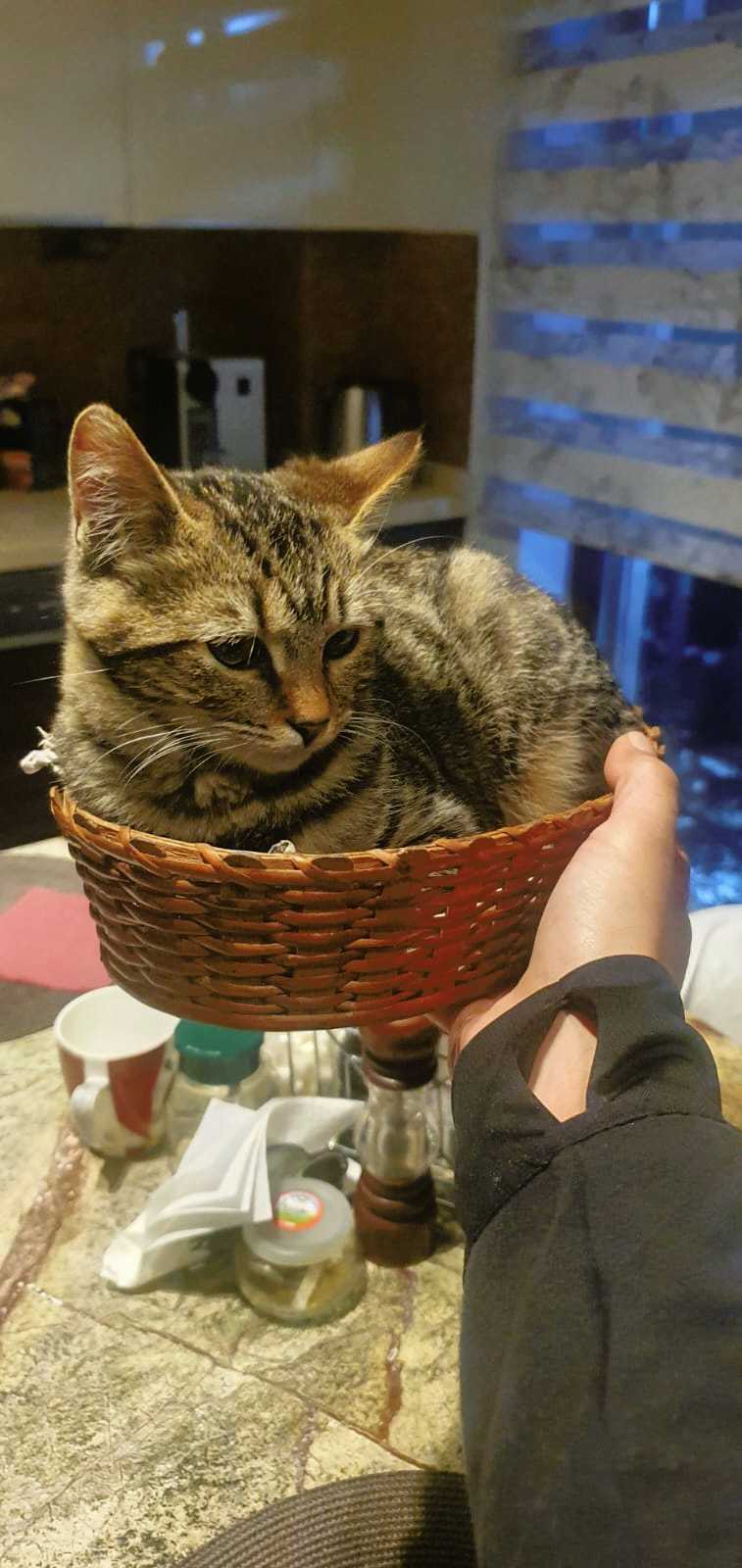 Fresh From the Oven | Scrolller