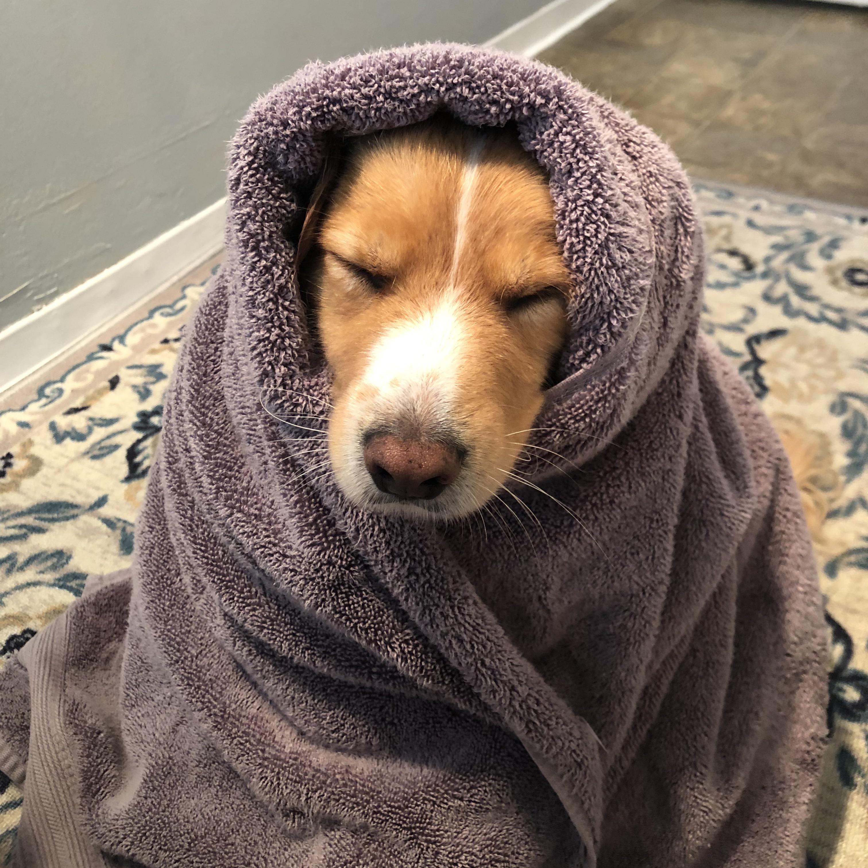 Full-body Bath time babushka | Scrolller