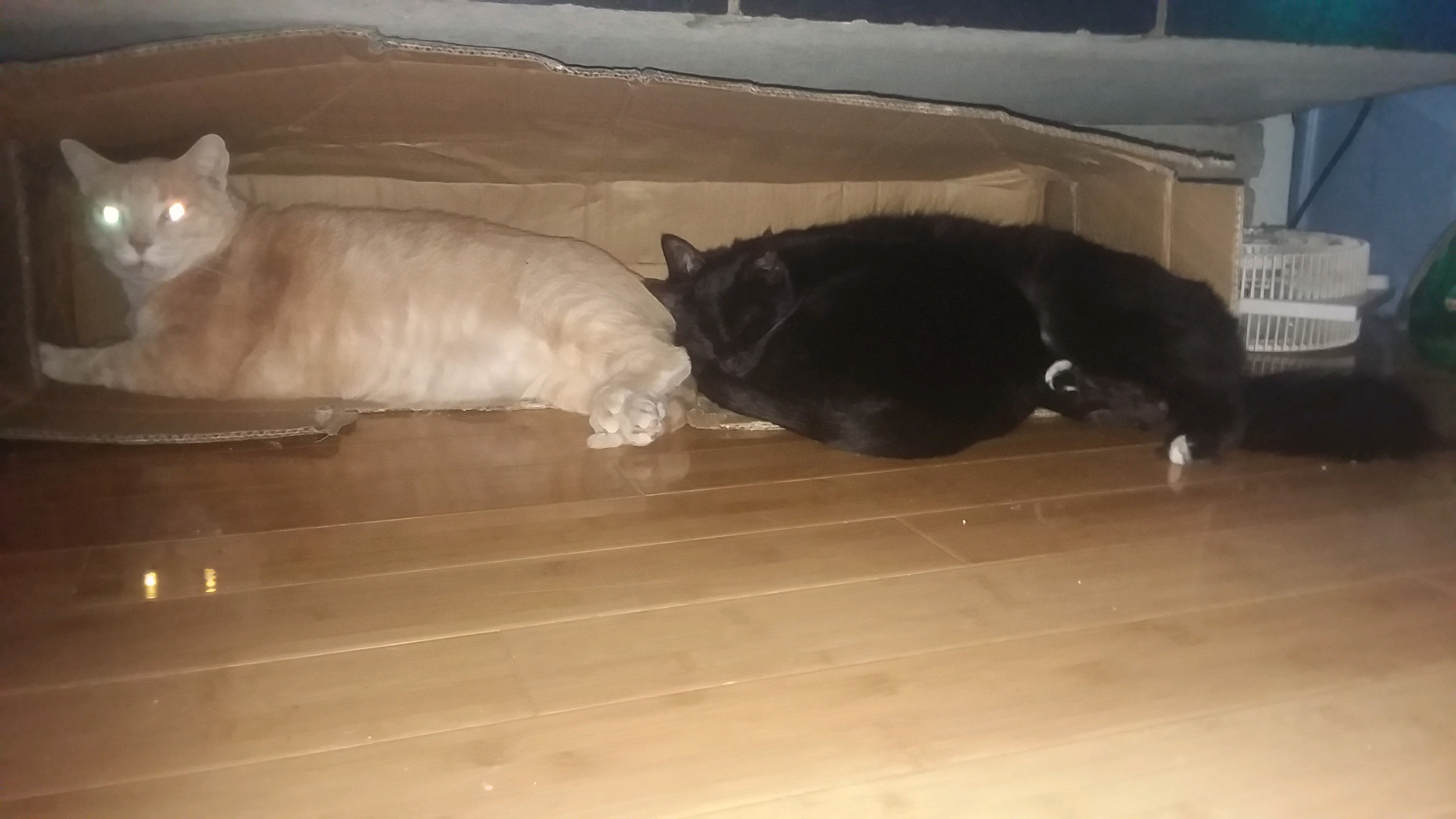 Fully charged | Scrolller