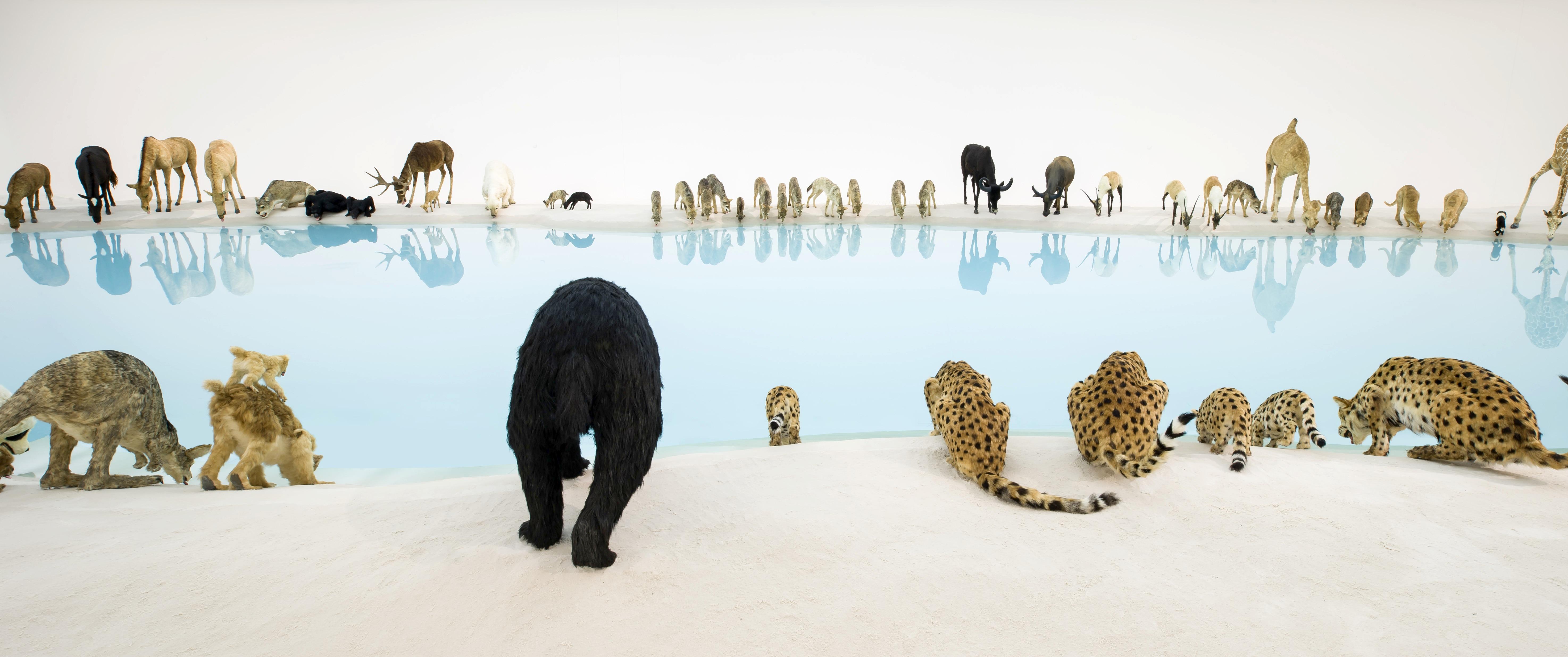 Gallery Posts Guide and Requests. | Scrolller