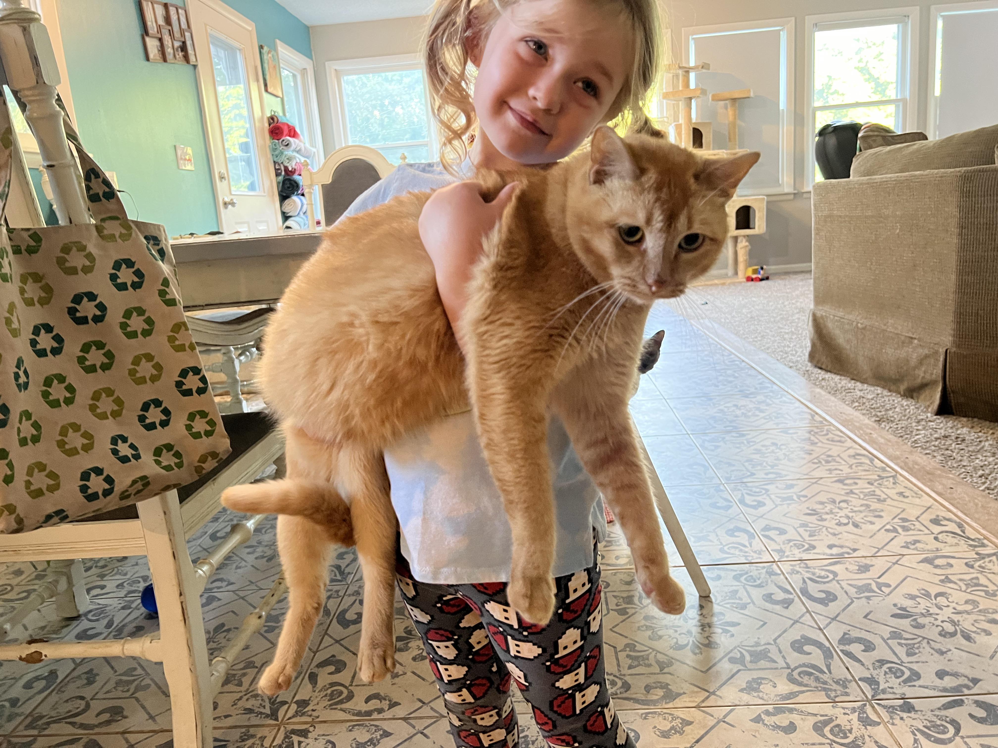 Garfield the Trash Cat | Scrolller