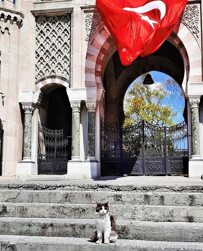 Gatekeeper | Scrolller