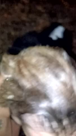 Getting freaky in the woods after jogging | Scrolller