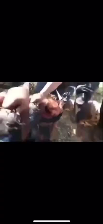 Ghost Rider | Scrolller