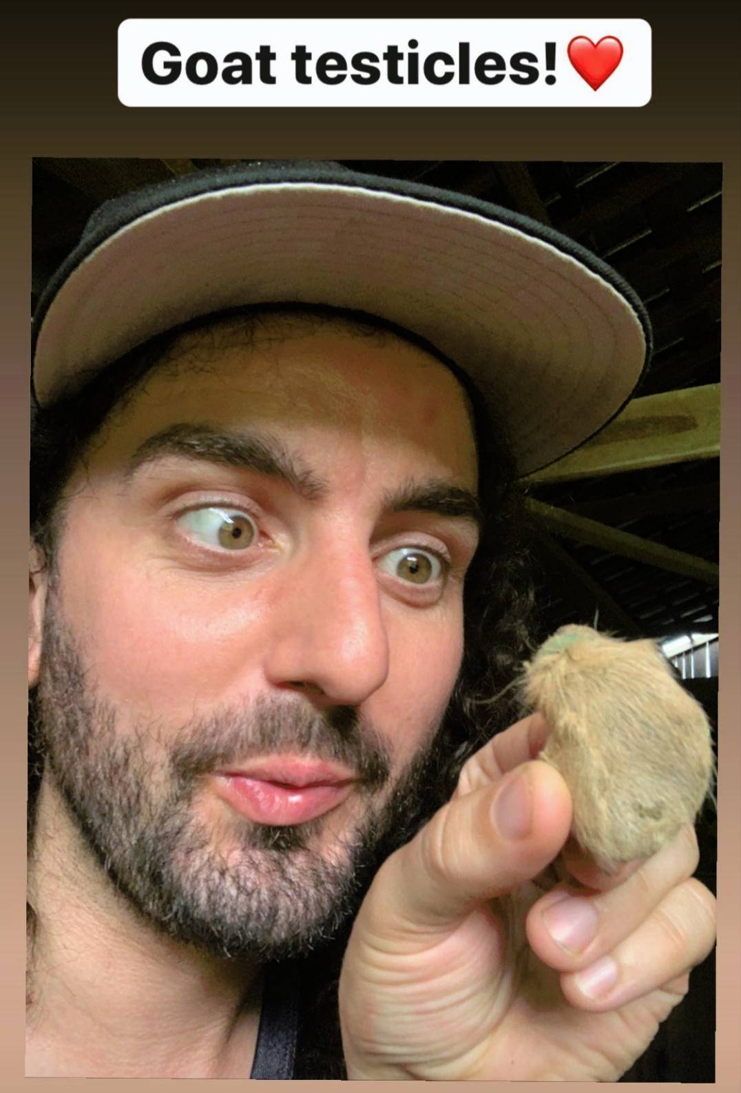 God I love Chris! | Scrolller