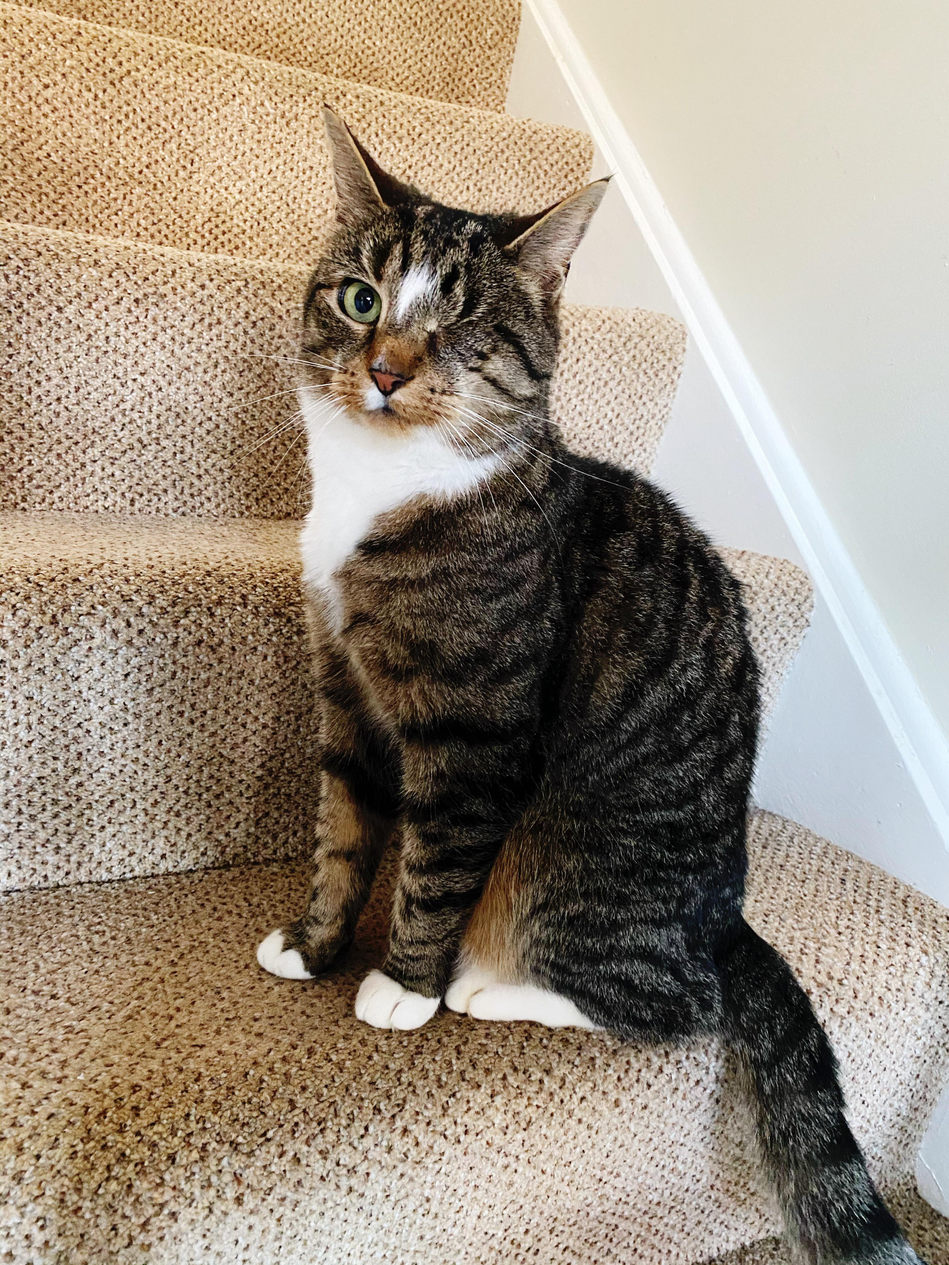 good boy. | Scrolller