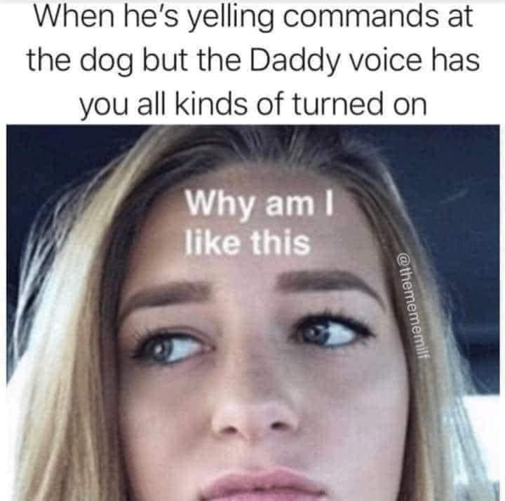 Good girl | Scrolller