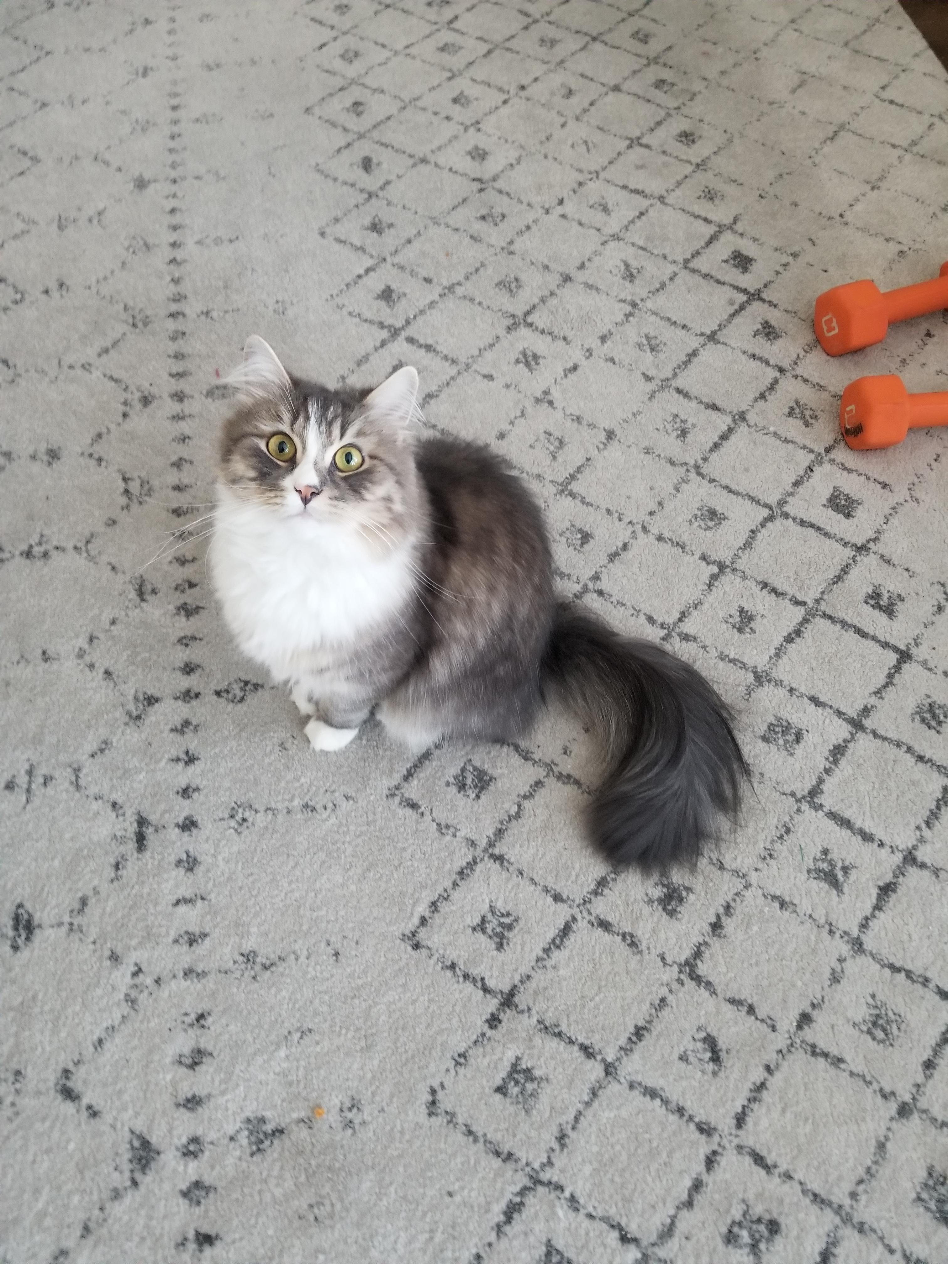 Good morning Samson! | Scrolller