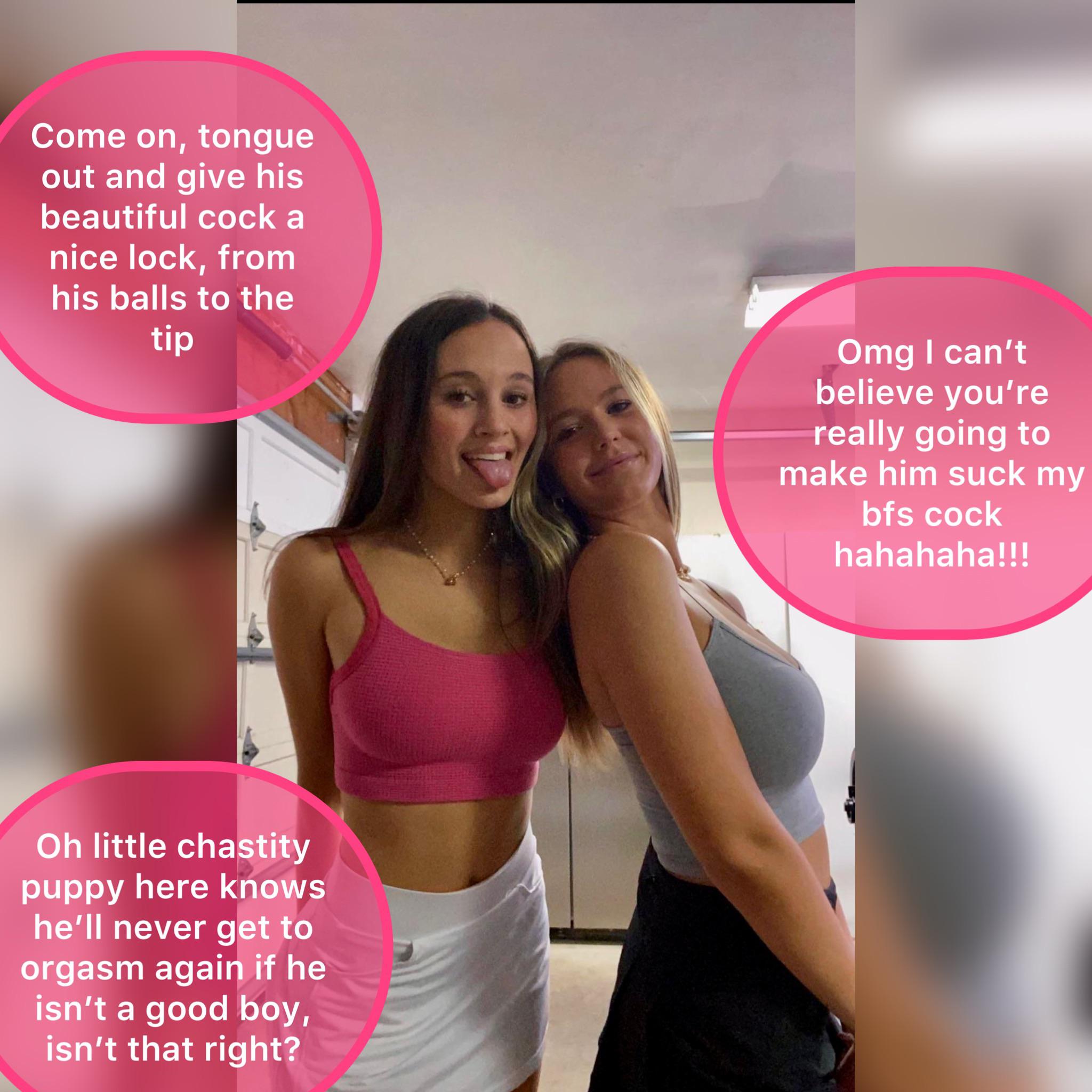 Good puppies do as they’re told | Scrolller