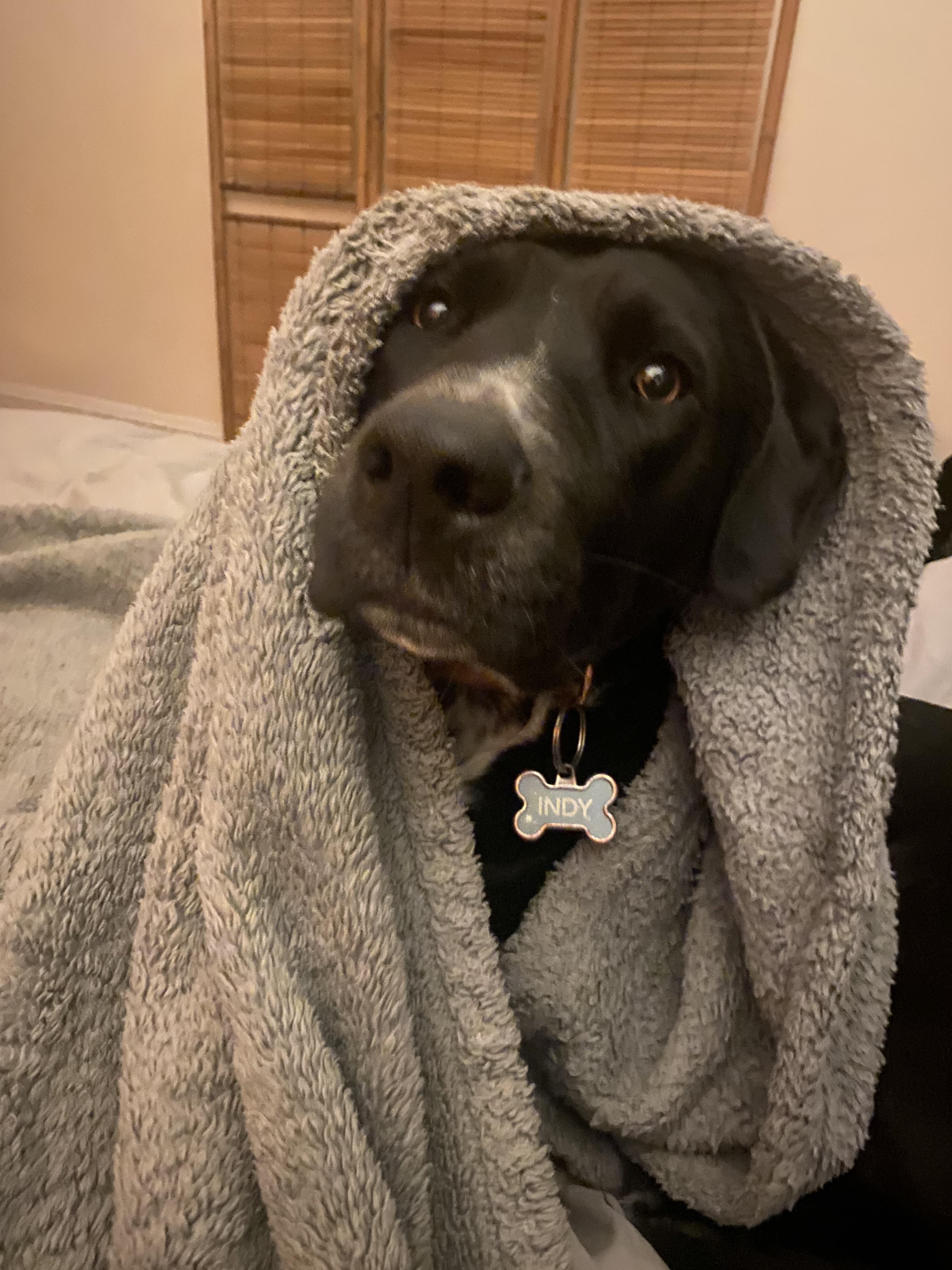 Good Wise Boy | Scrolller