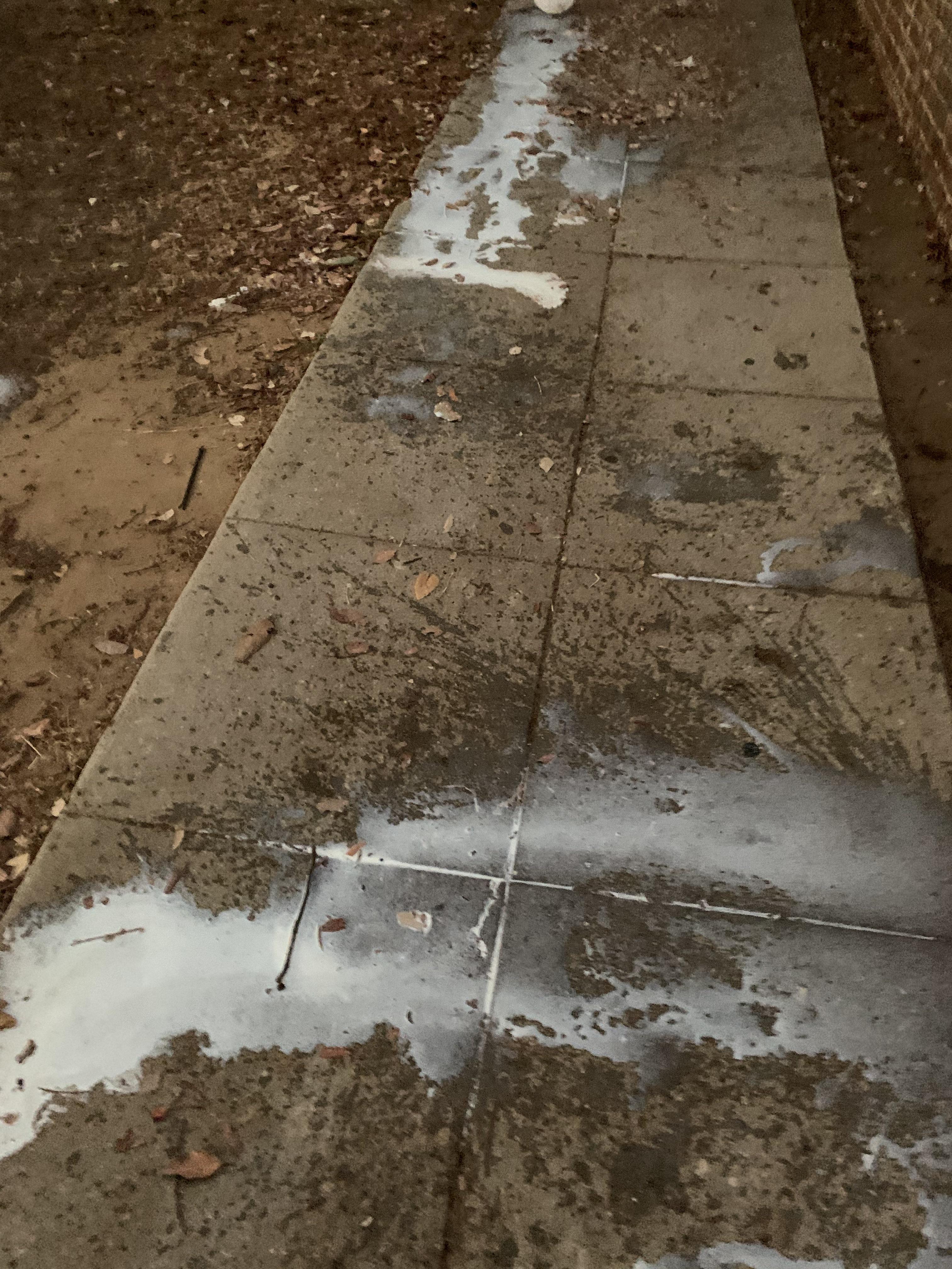 Guys on dec 1. | Scrolller