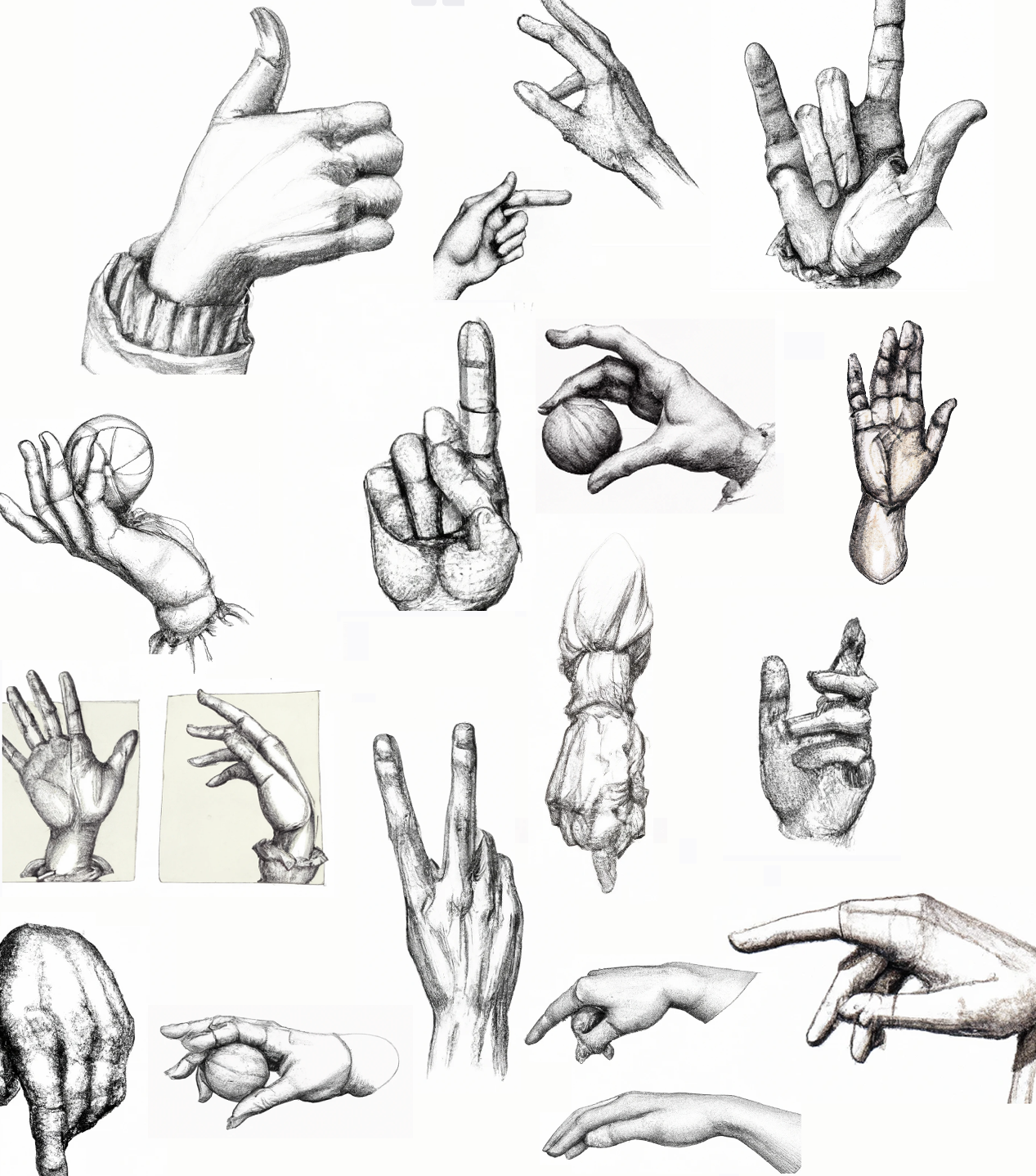 Hands | Scrolller