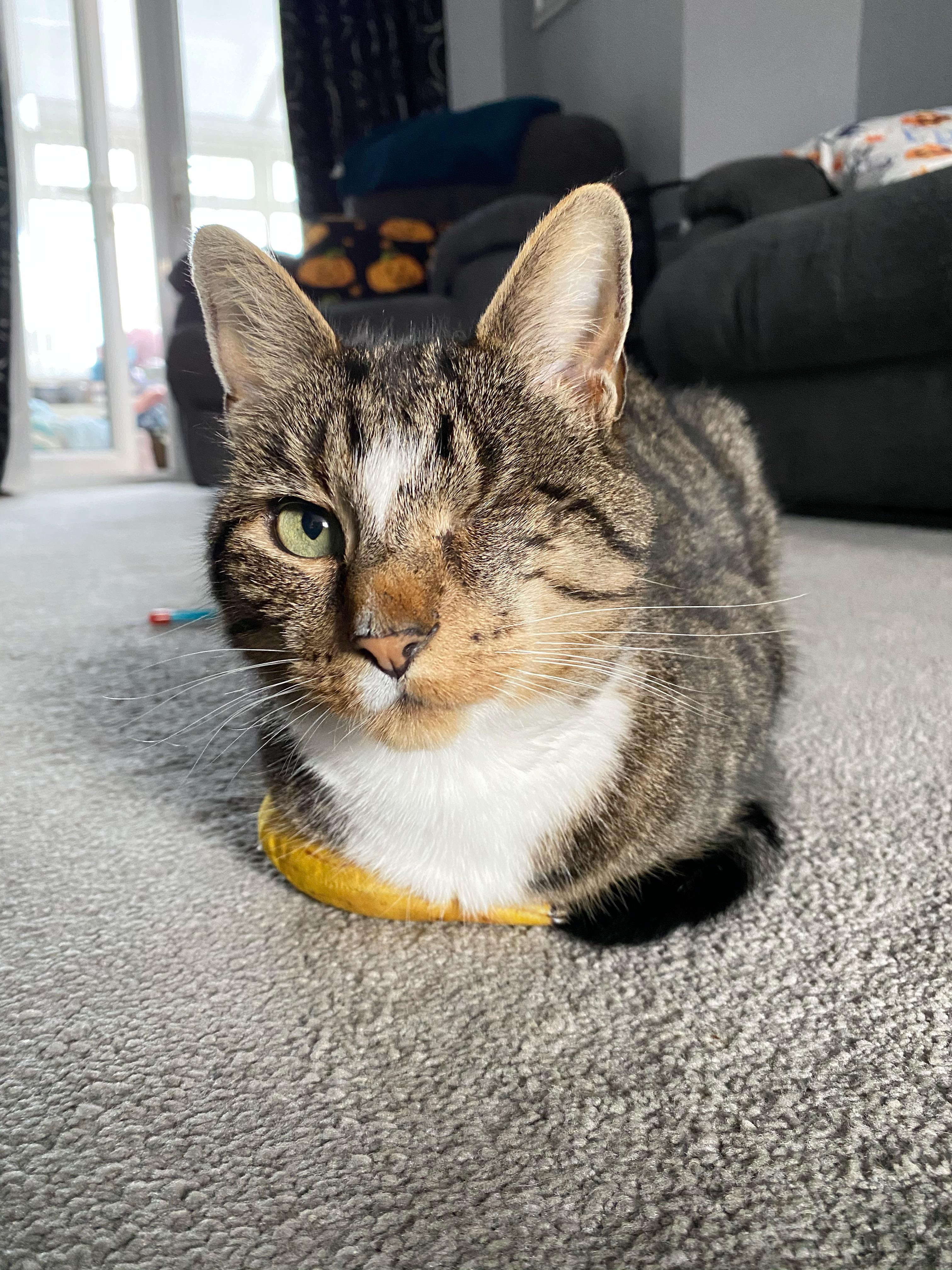 Handsome boy | Scrolller