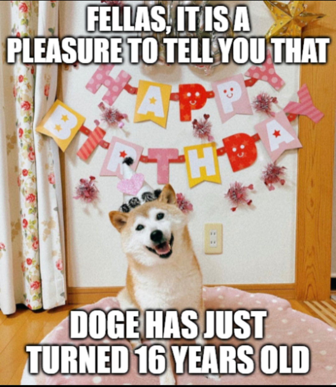Happy Birthday Scrolller