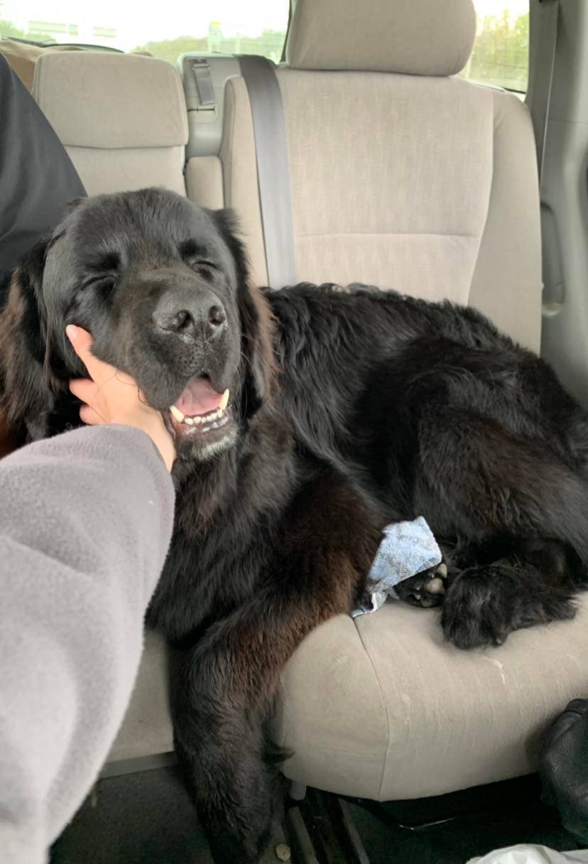 Happy boy :) | Scrolller